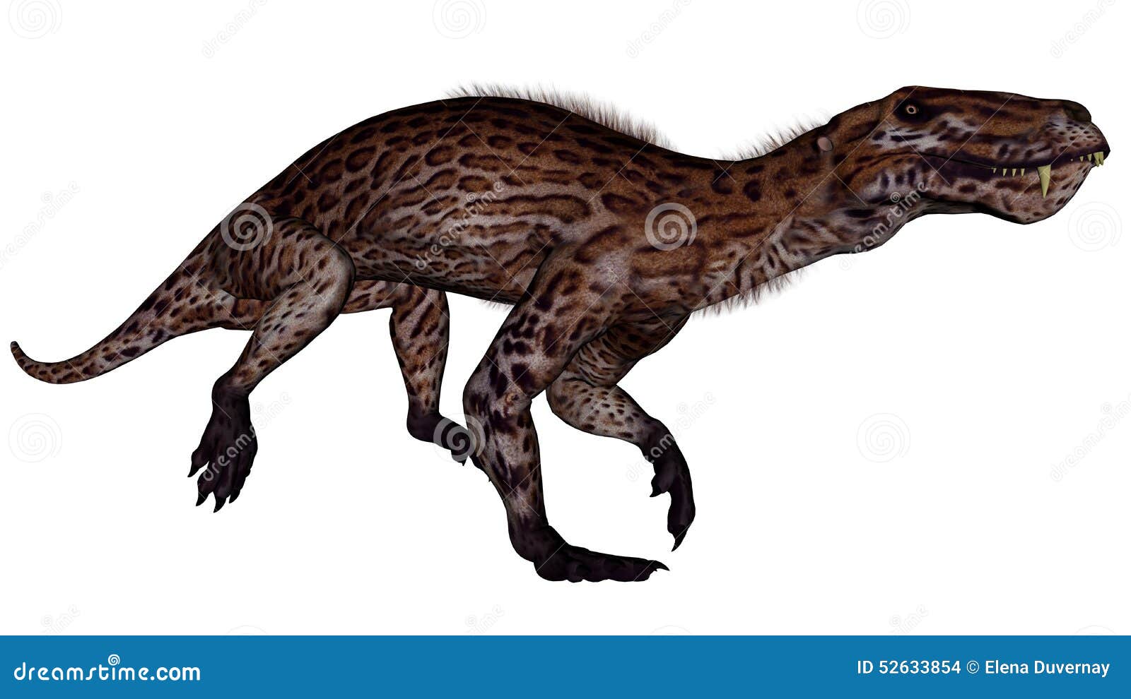 Lycaenops Cartoons, Illustrations & Vector Stock Images - 24 Pictures ...