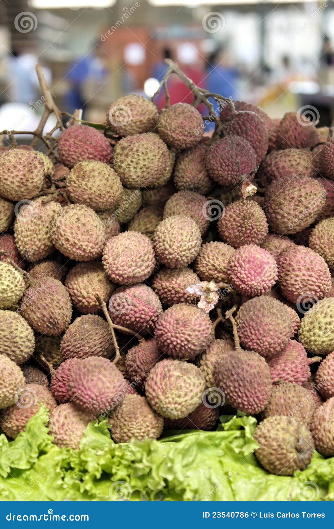 Lychee photo stock. Image du nourriture, fruits, personne - 23540786