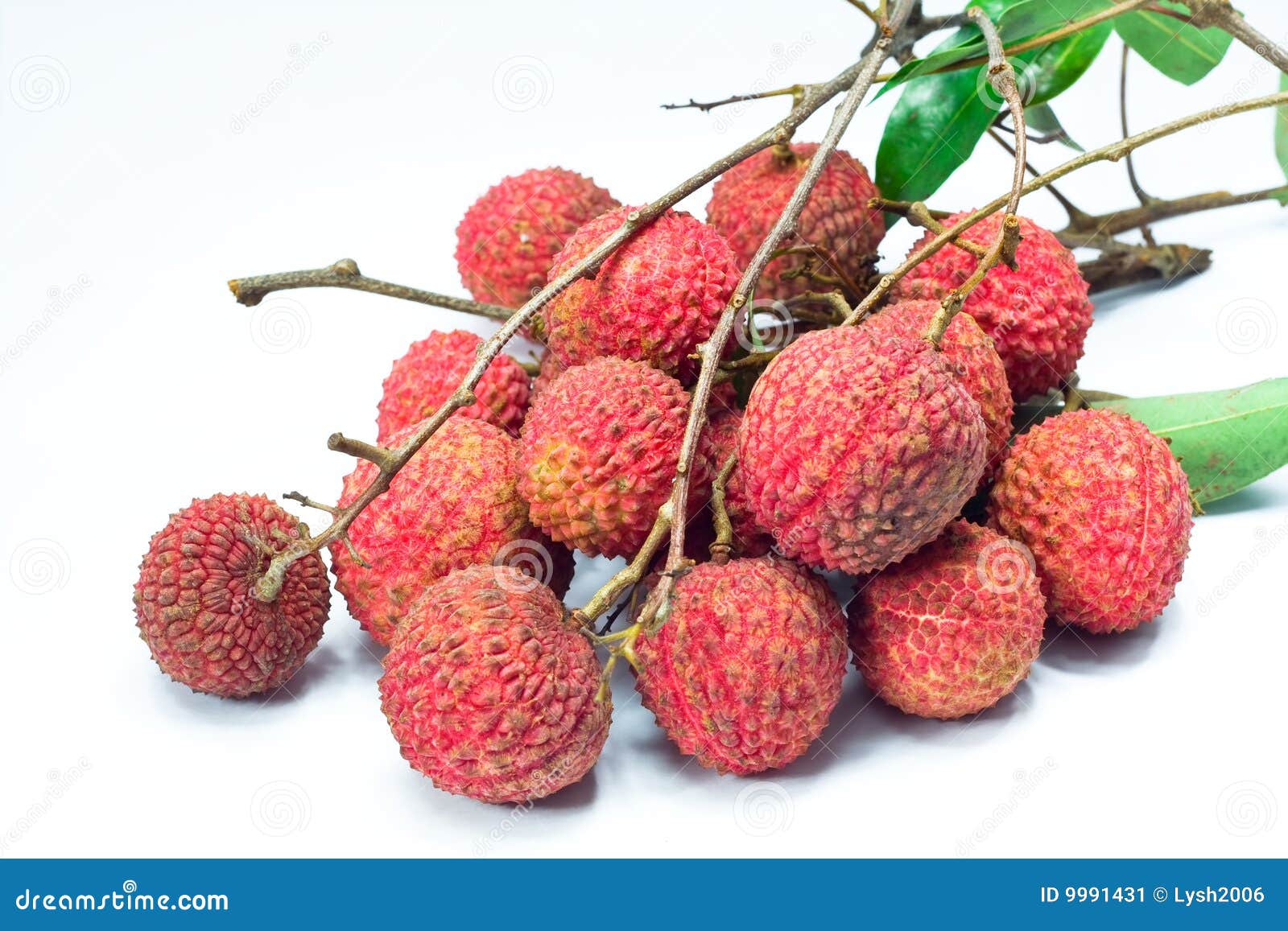 Lychee stock image. Image of nature, lychee, lichee, branch - 9991431