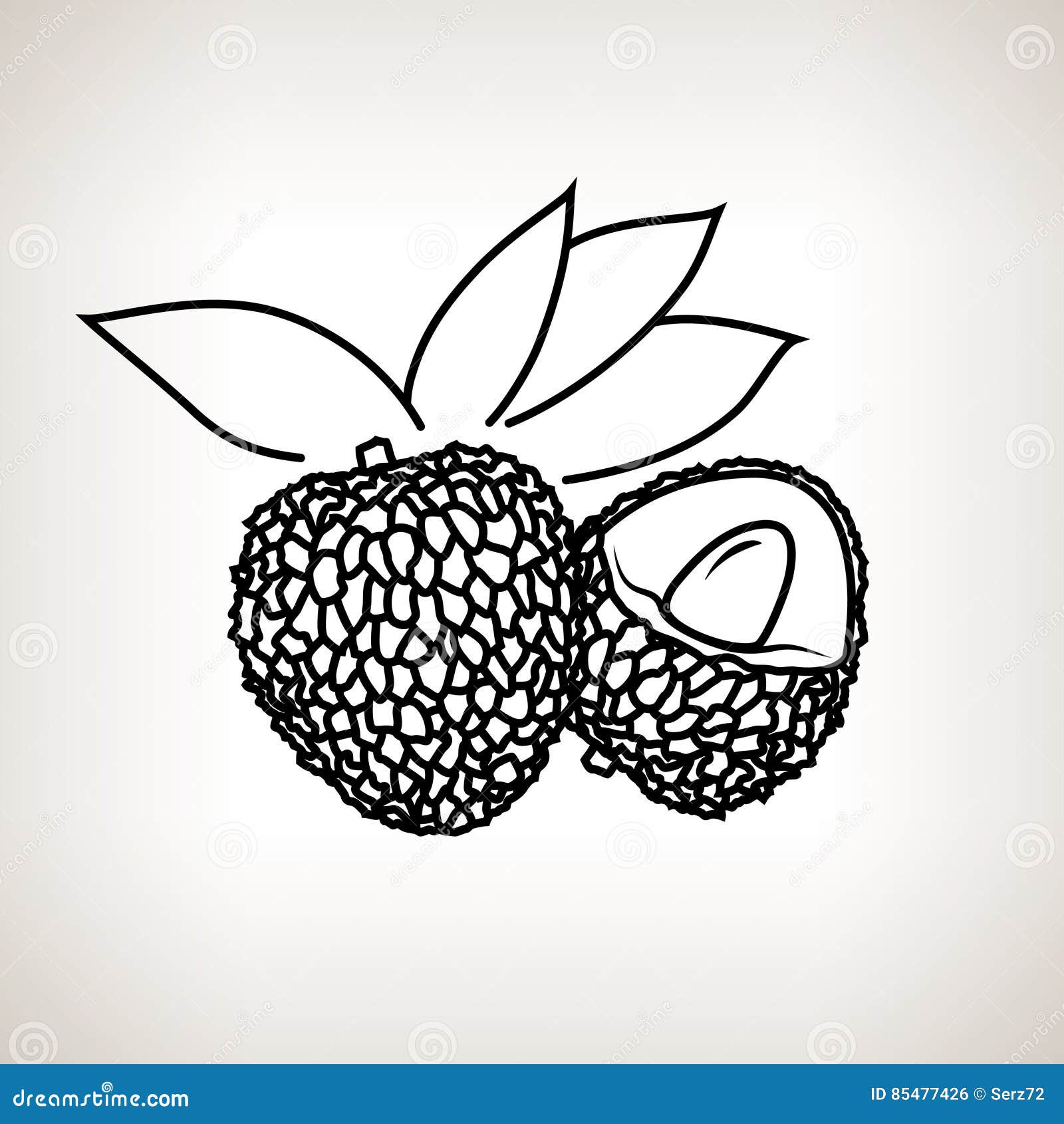 Lychee in the Contours stock vector. Illustration of line - 85477426