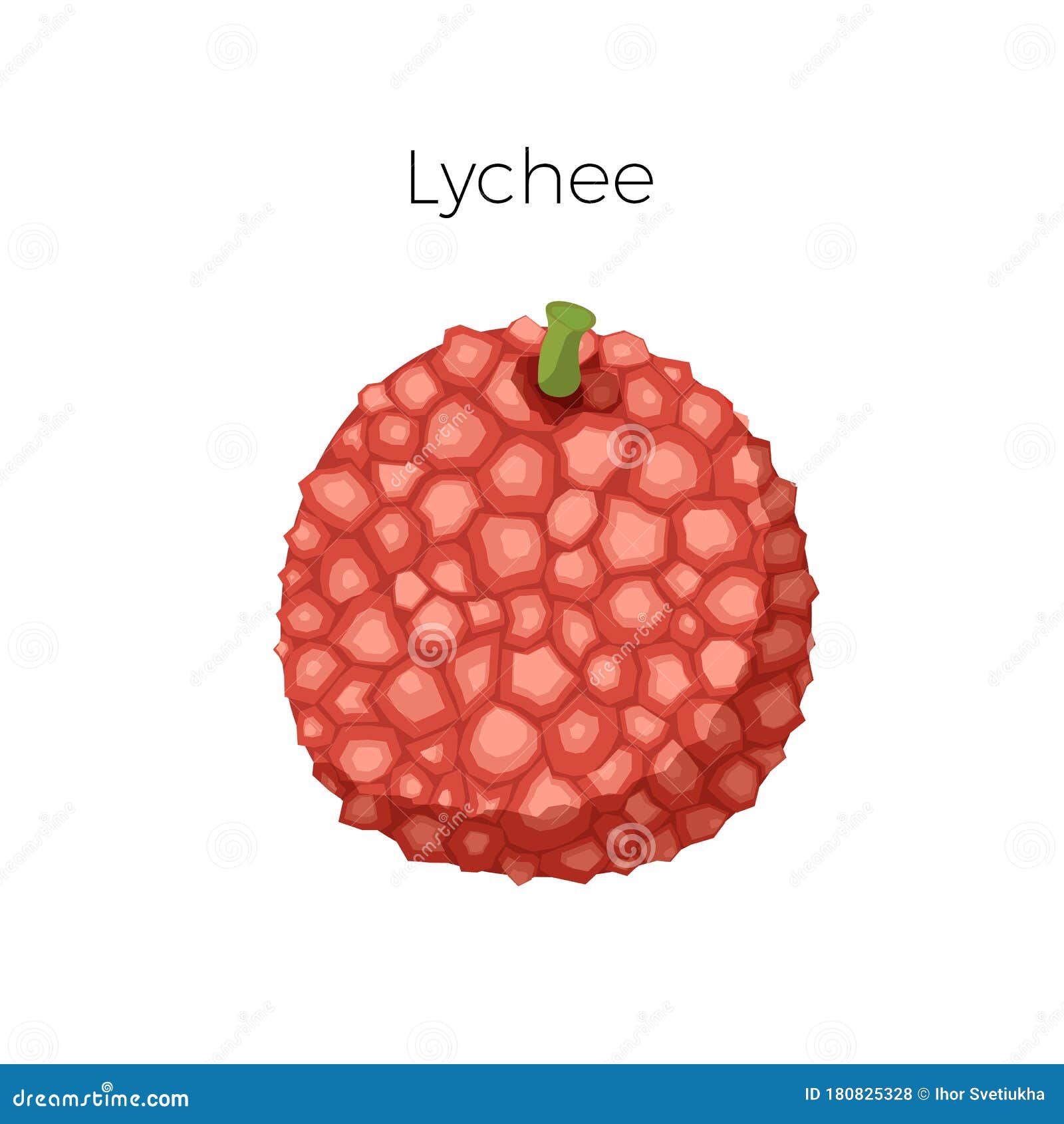 Lychee Exotic Juicy Fruit Vector Litchi Liechee | CartoonDealer.com ...