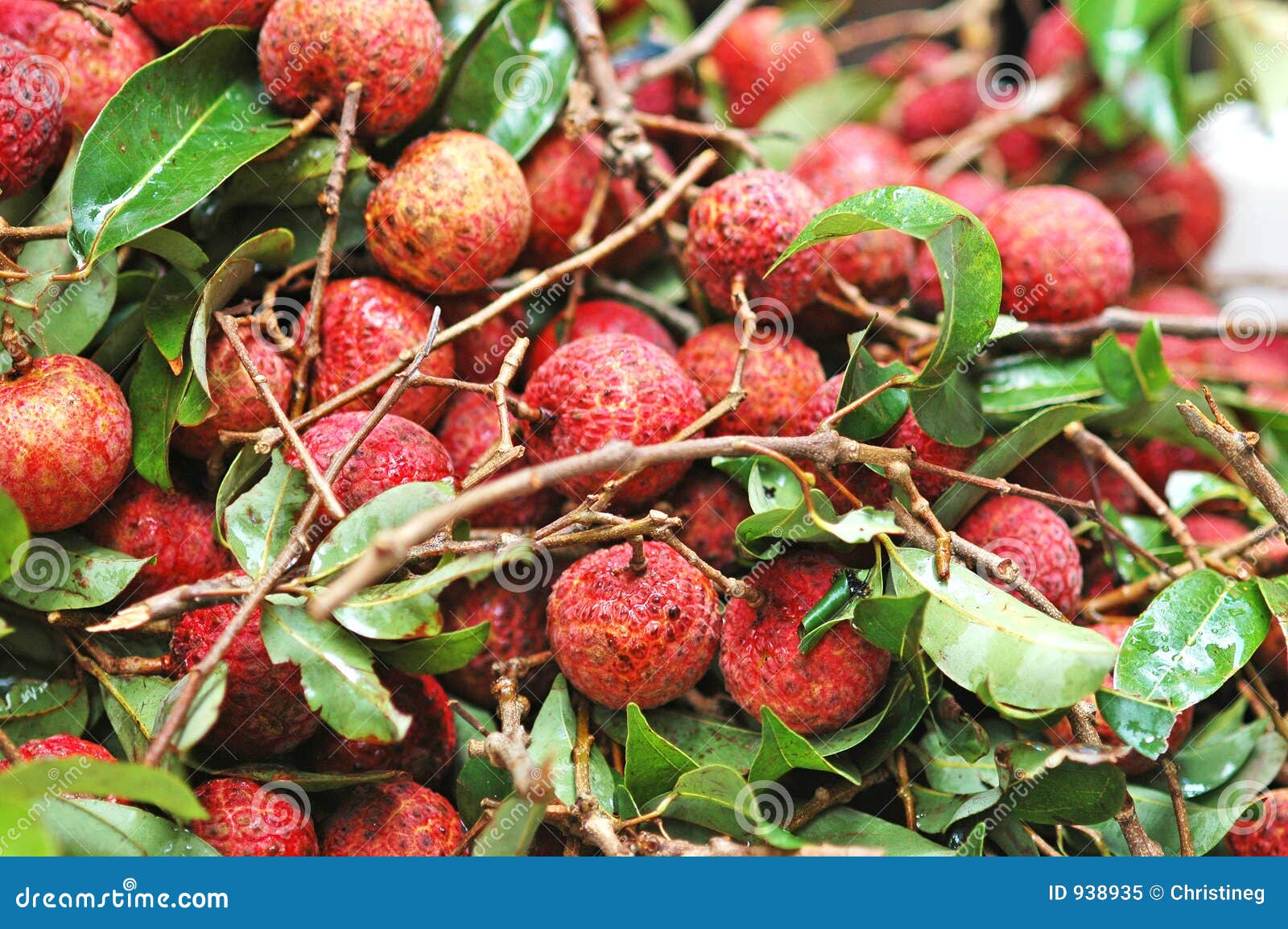 Lychee Fruit, Lychee Or Chinese Or Chinese Plum. Royalty-Free Stock ...