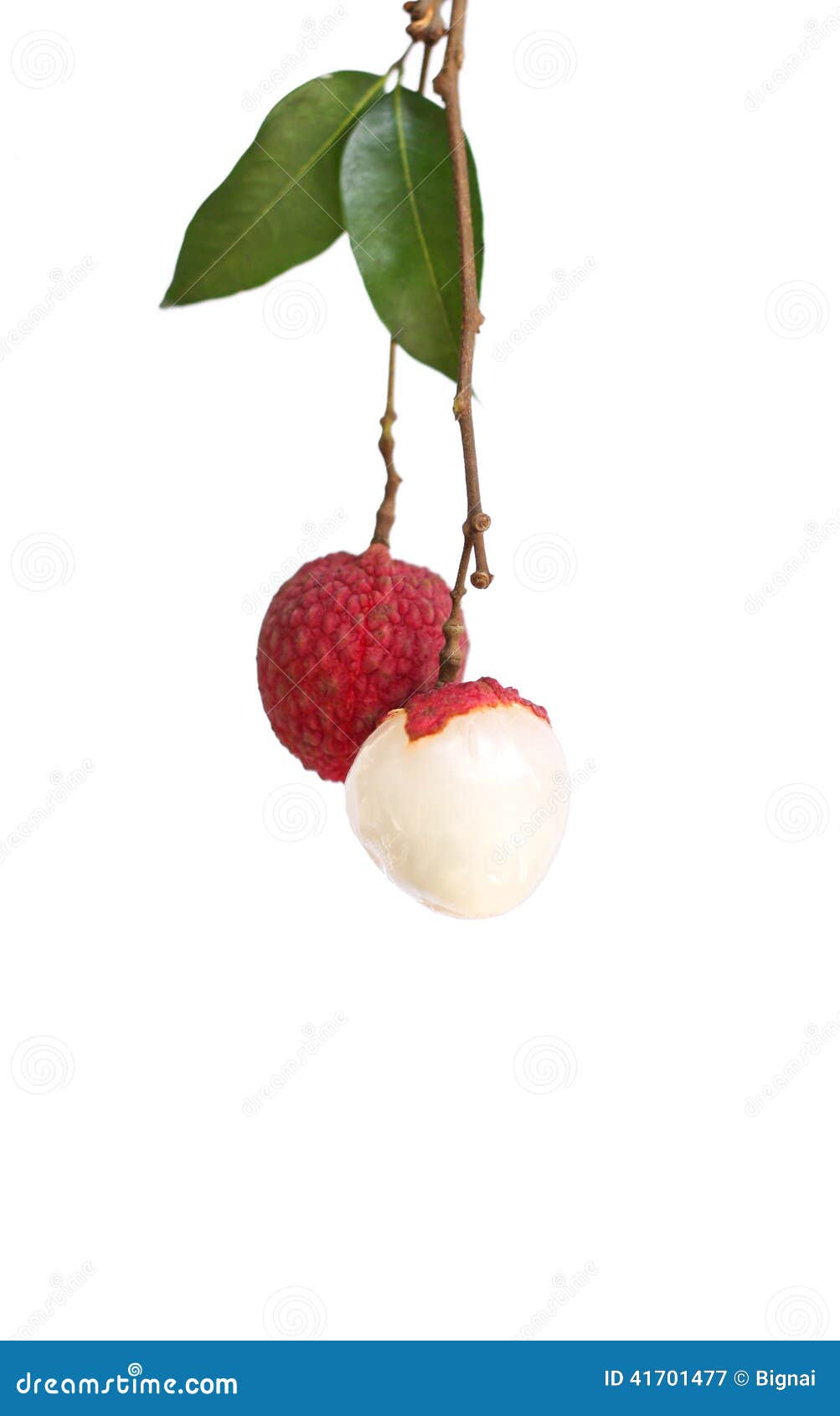 Lychee fruit stock image. Image of organic, eating, healthy - 41701477