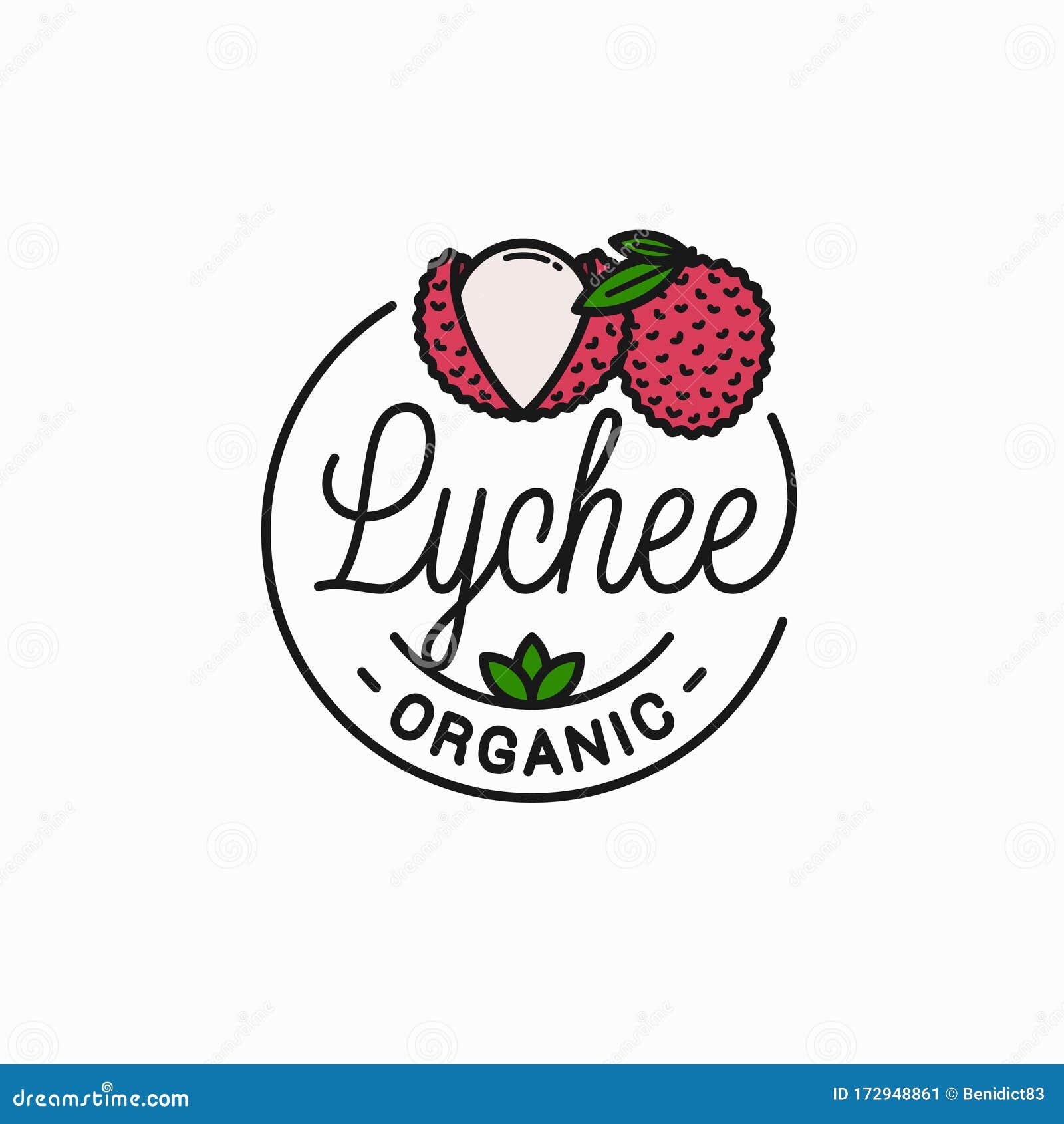 Lychee Logo. Isolated Lychee On White Background Vector Illustration ...