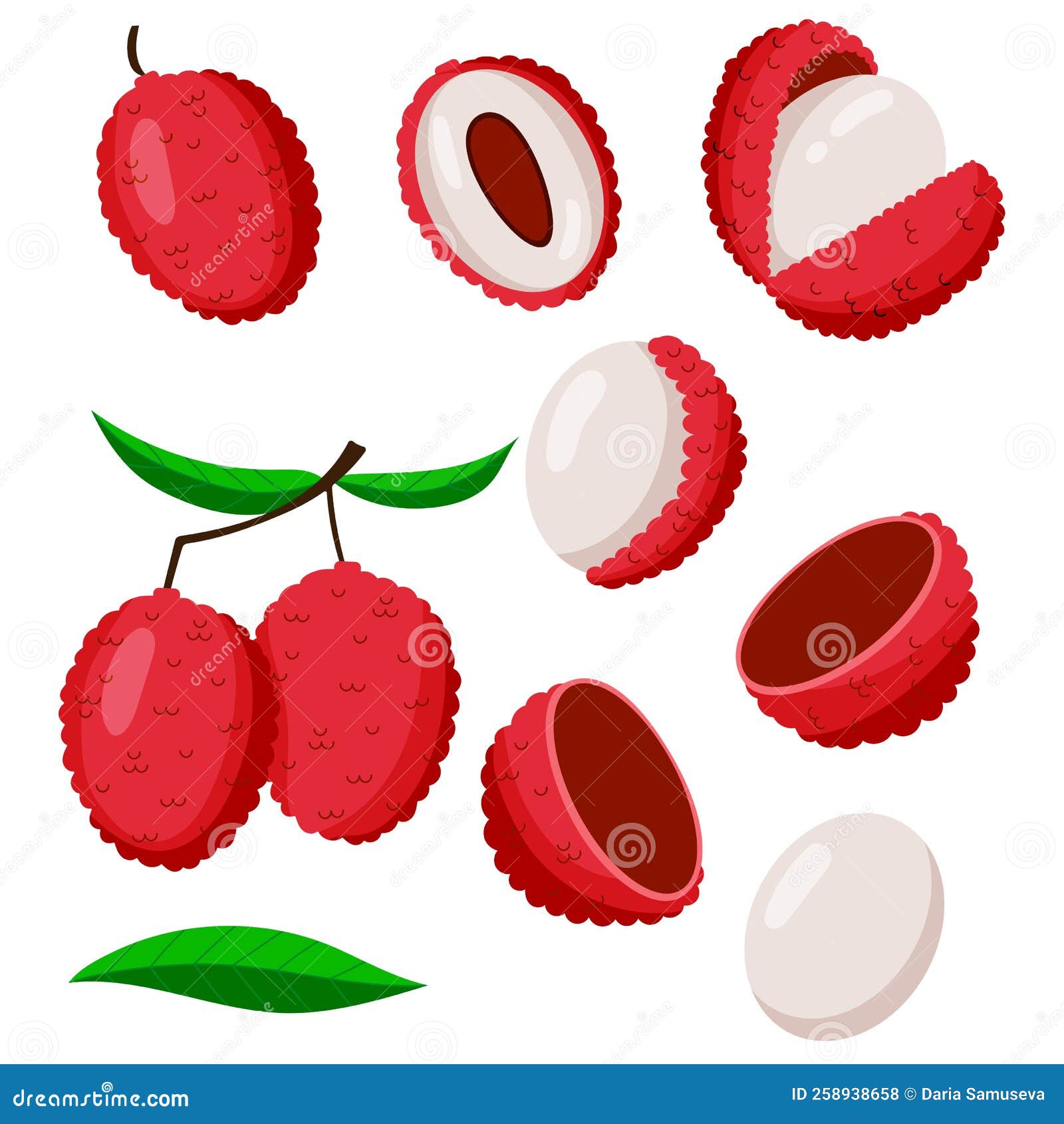 Lychee Fruit Vector. Tropical Fruit Collection. Stock Vector ...