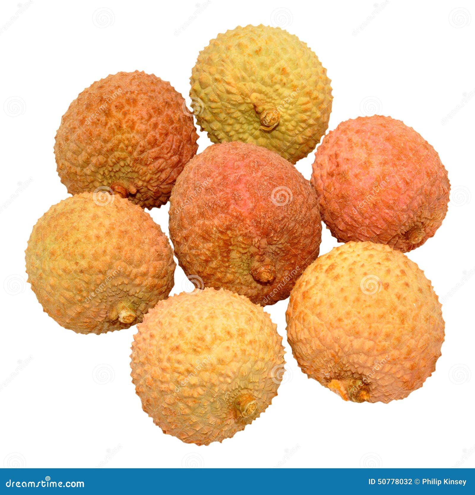 Lychee Fruits stock photo. Image of asia, lychee, food - 50778032