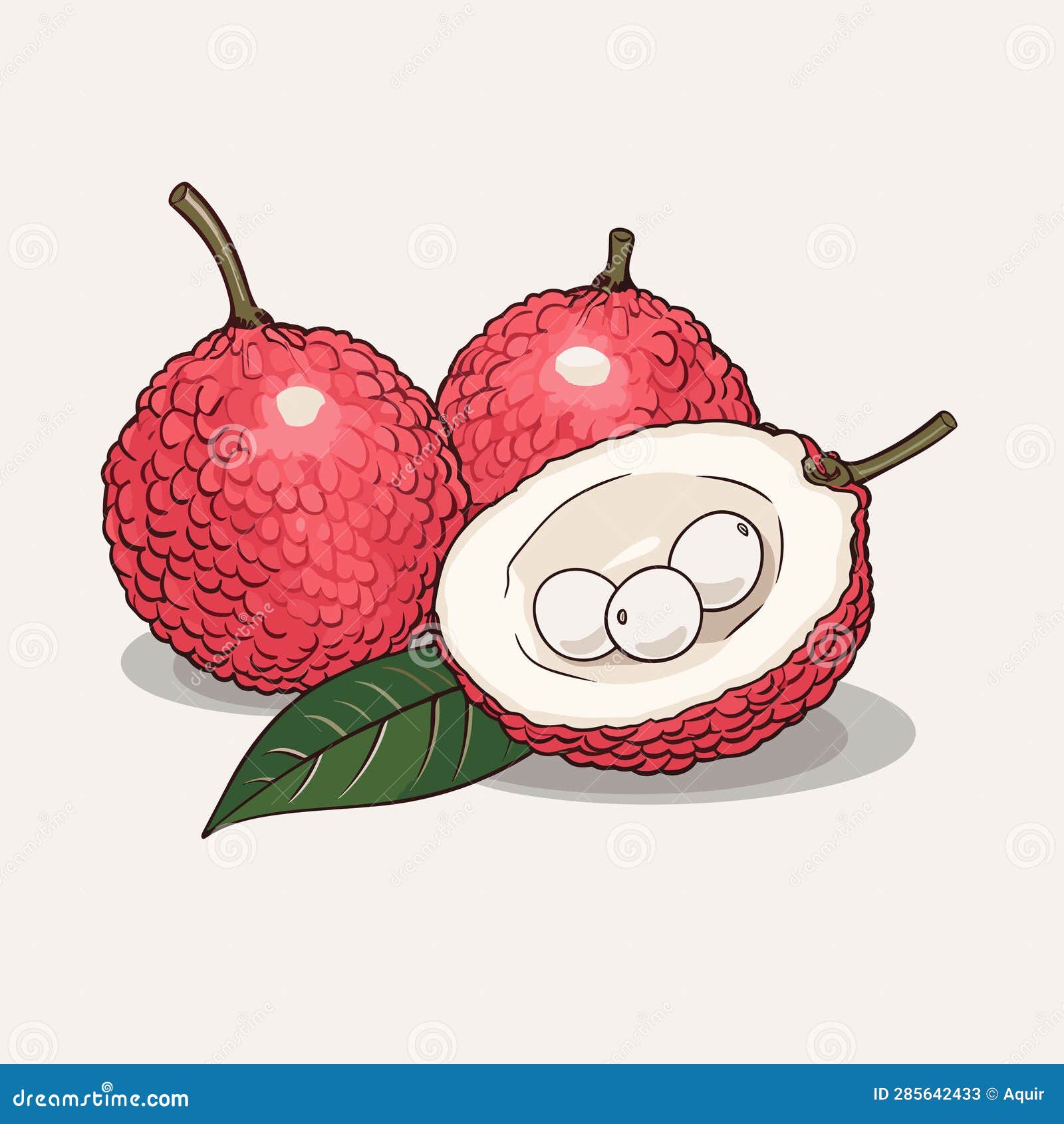 Lychee Hand-drawn Illustration. Lychee. Vector Doodle Style Cartoon ...