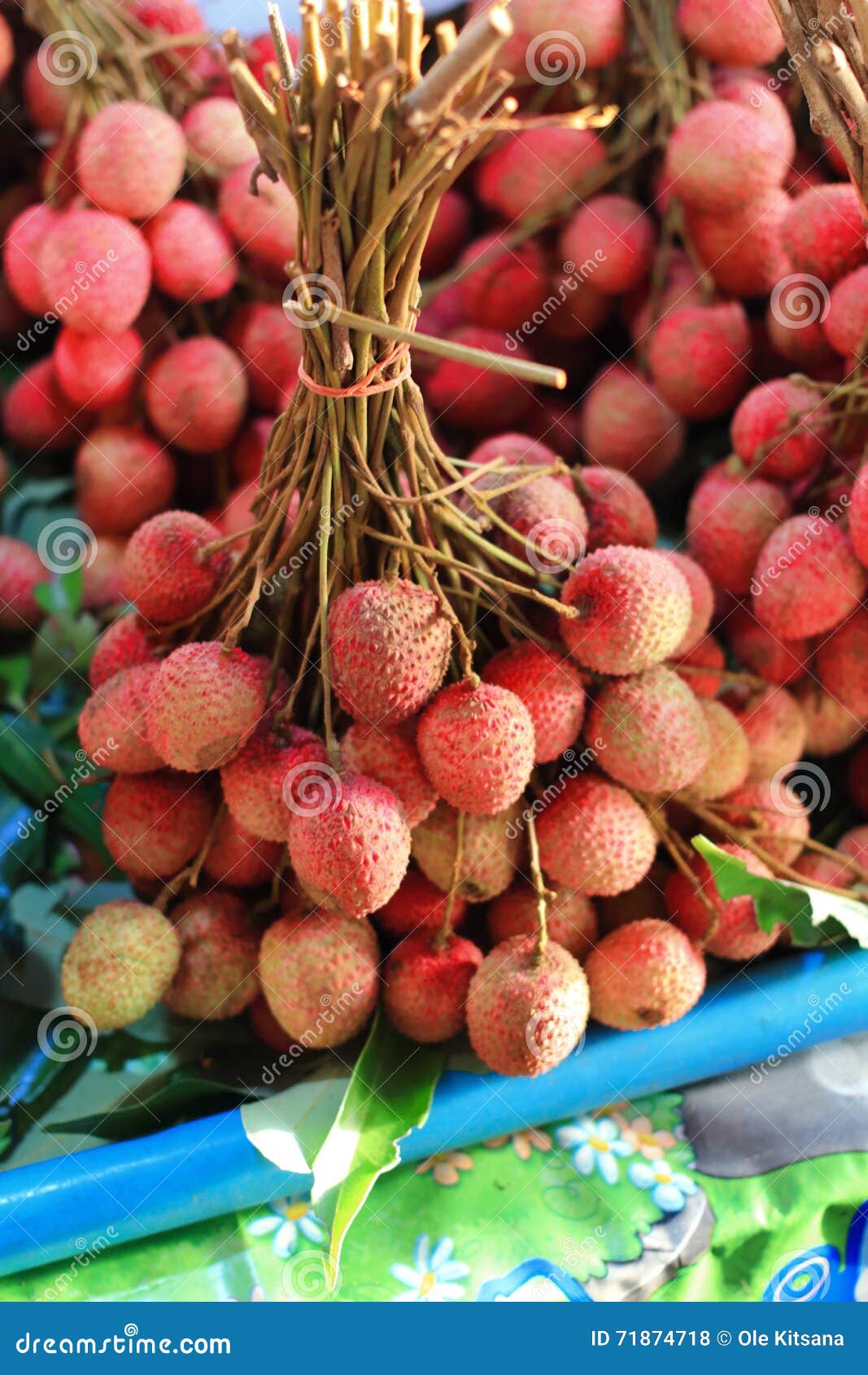 Lychee stock photo. Image of lichee, lychee, thai, litchi - 71874718