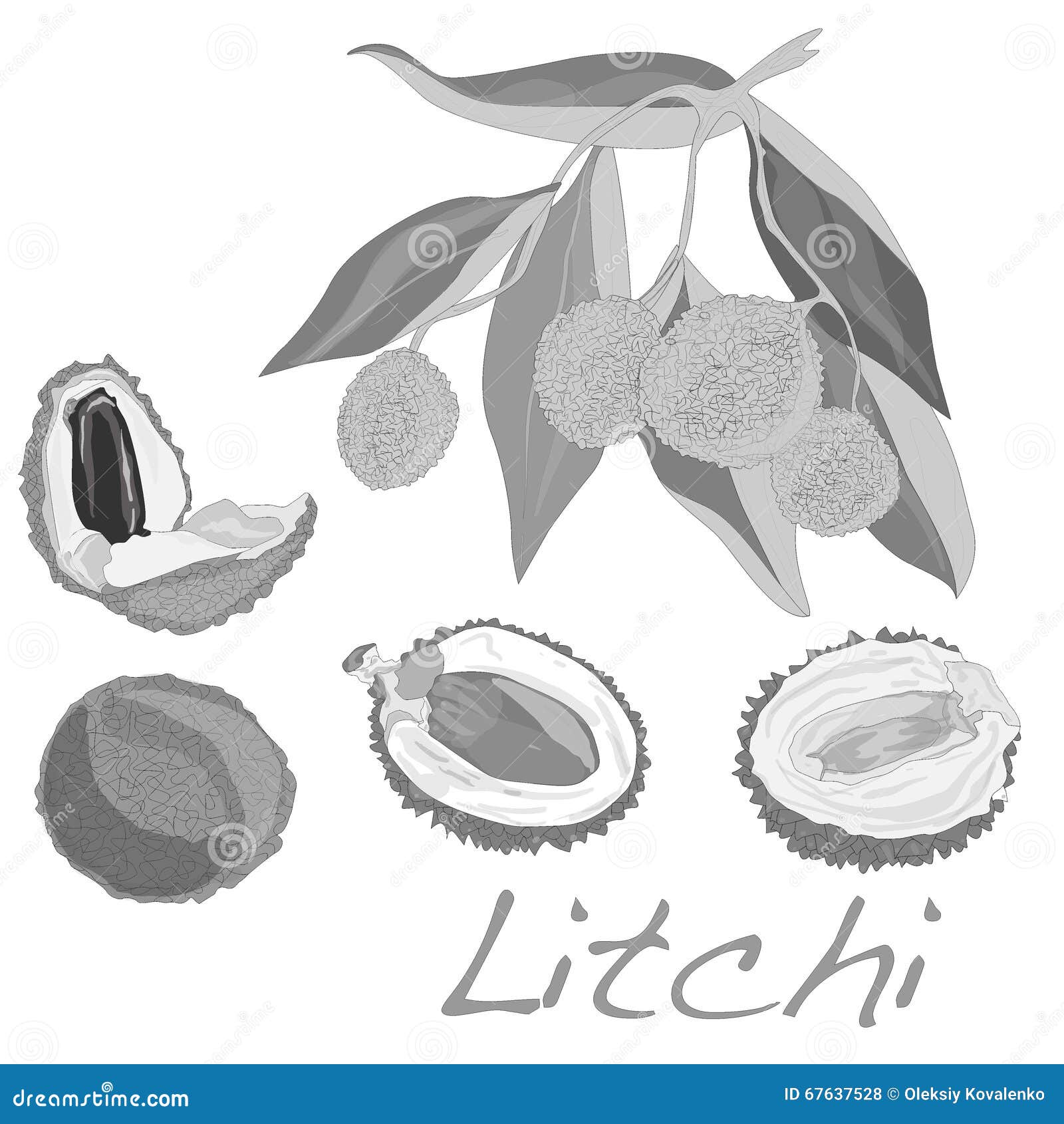Lychee Litchi Lichee Fruit, Many Angles And View Side Top Front Group ...