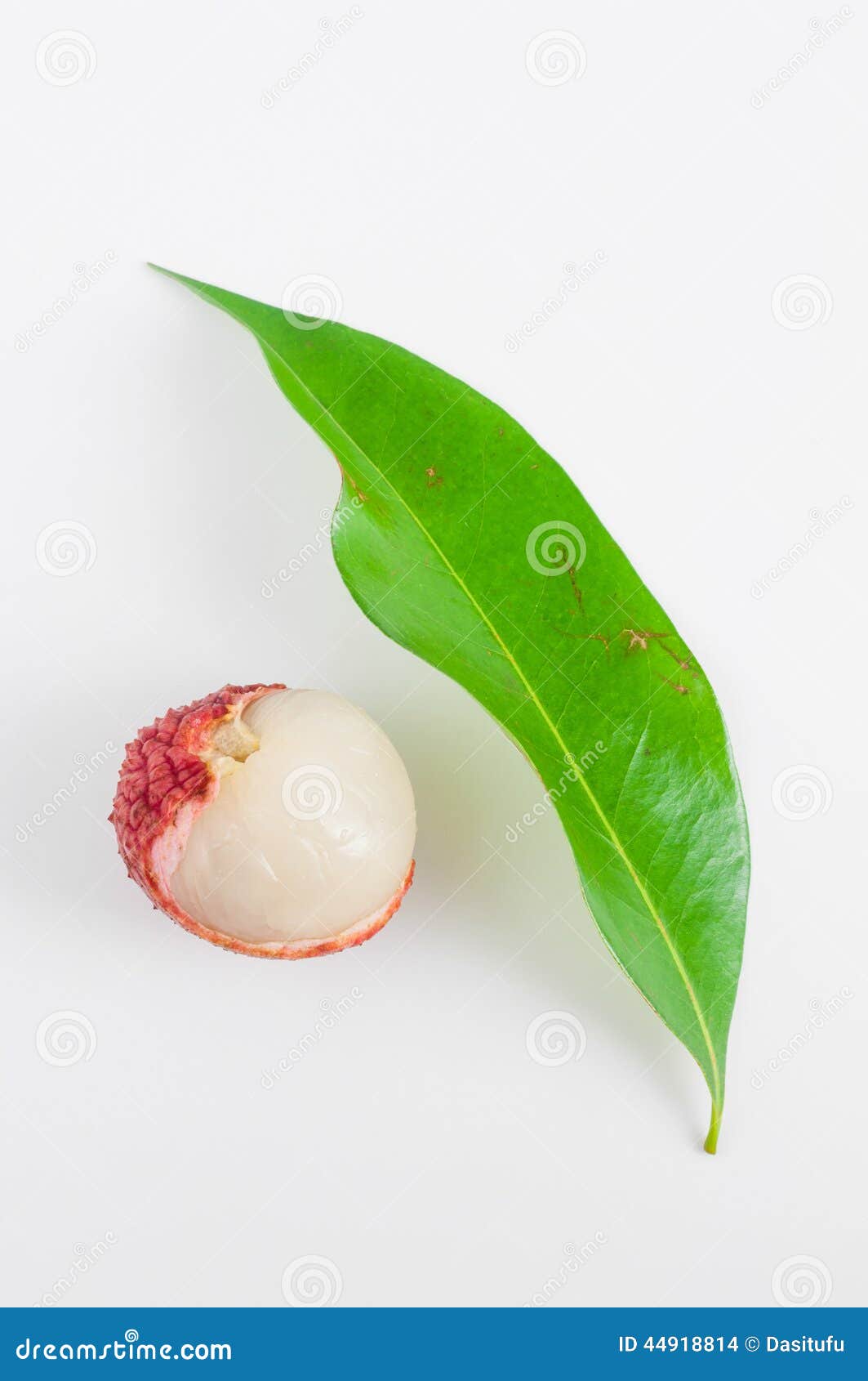Lychee leaf stock photo. Image of peeled, organic, litchi - 44918814