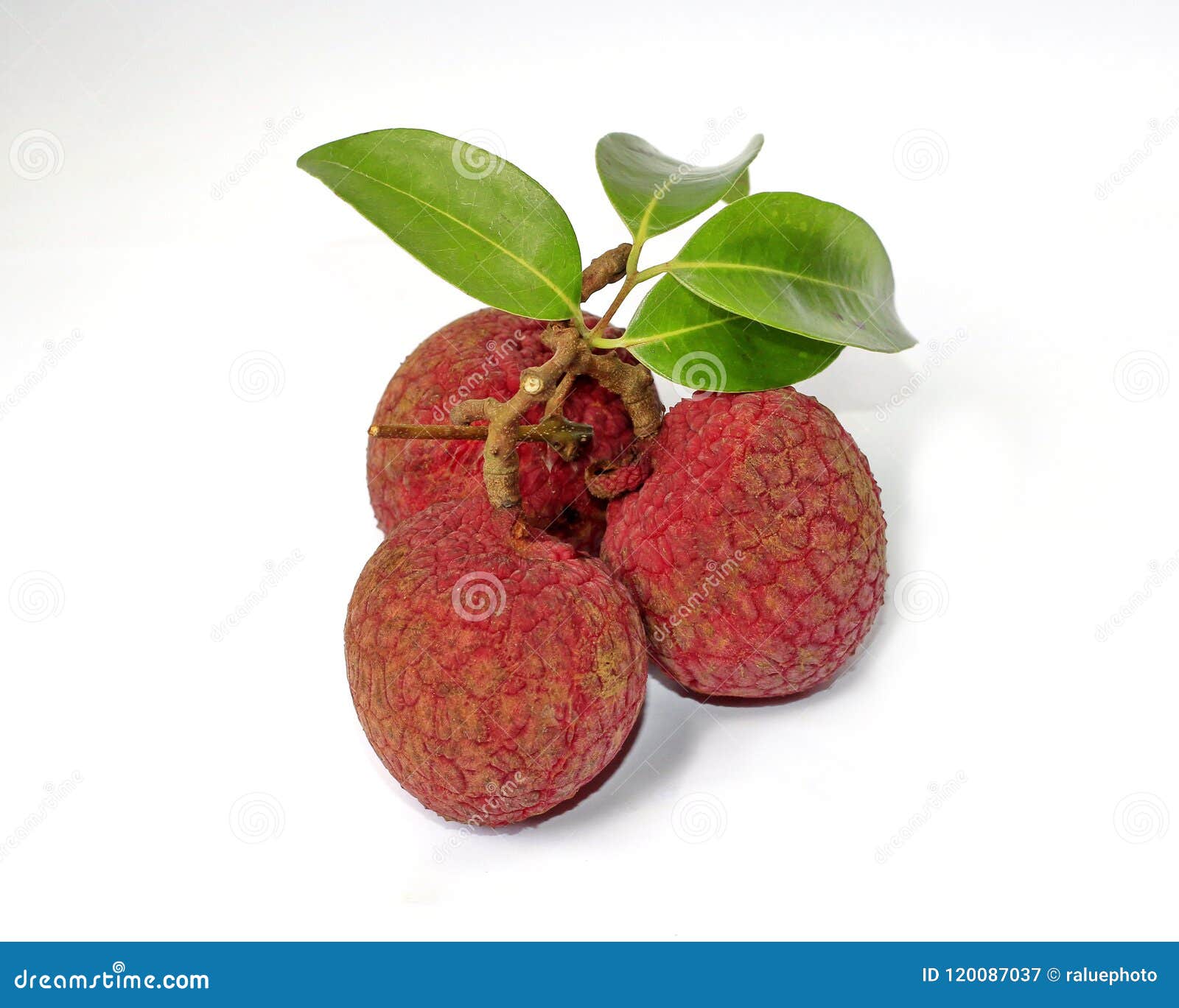 Lychee with Leaves Isolated on White Background Stock Image - Image of ...