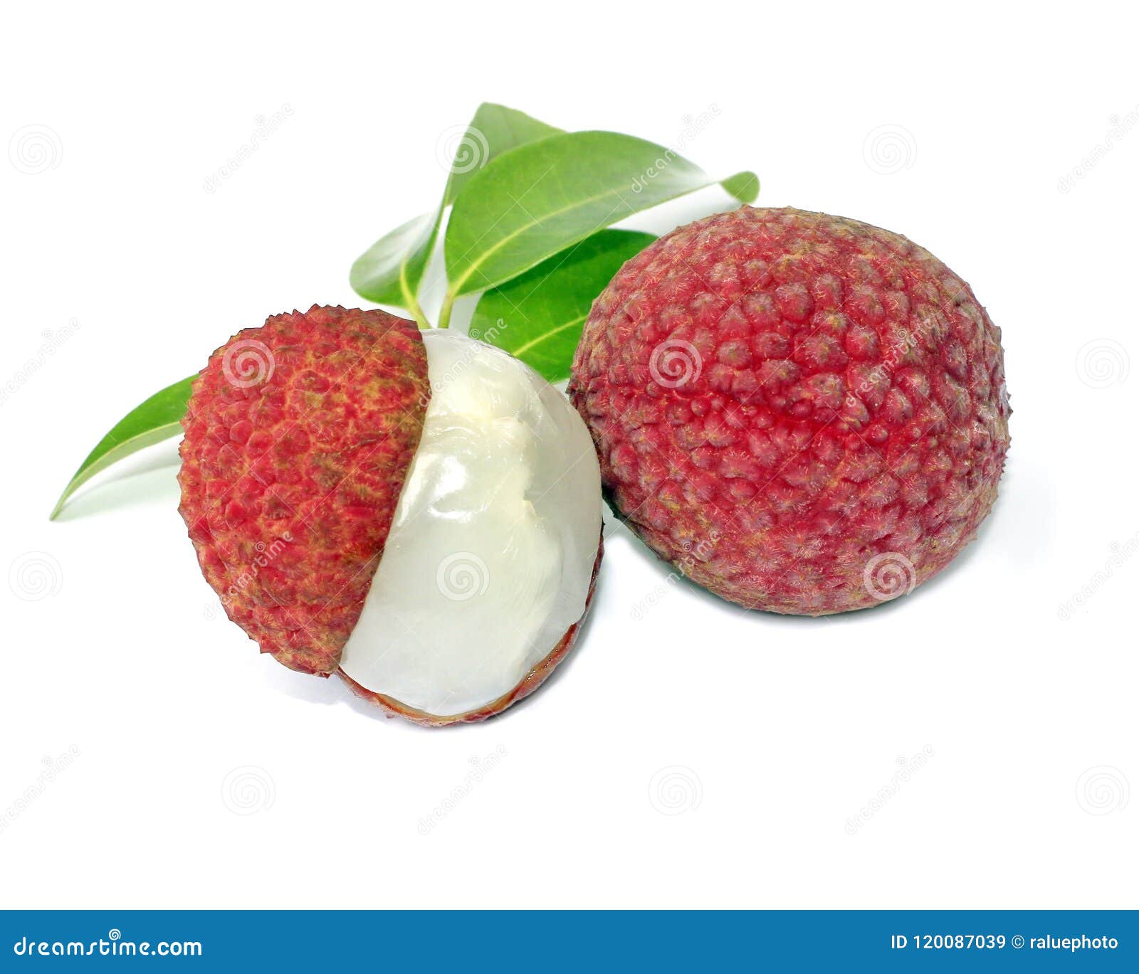 Lychee with Leaves Isolated on White Background Stock Image - Image of ...