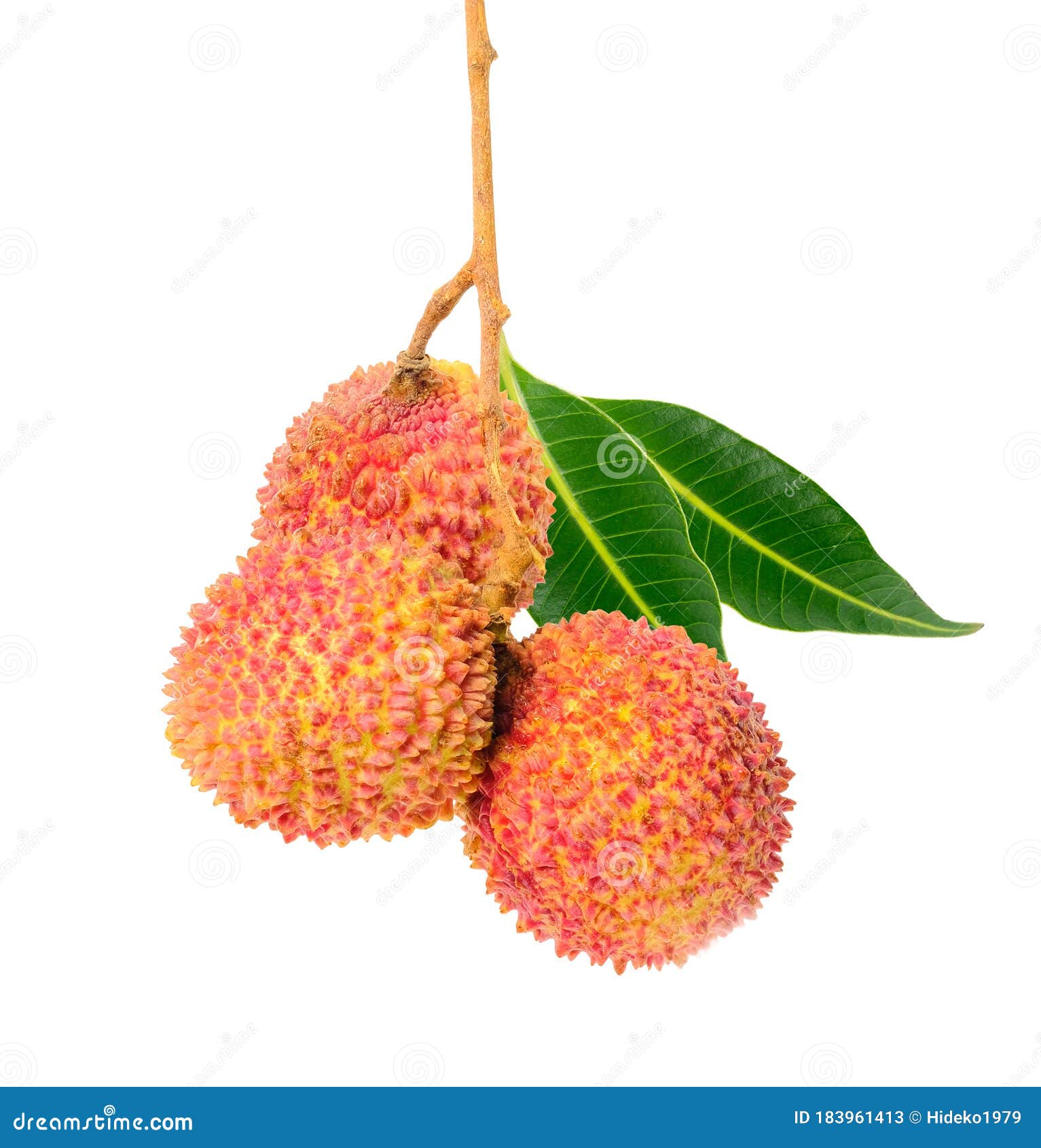 Lychee with Leaves Isolated on White Background. Tropical Fruit Stock ...