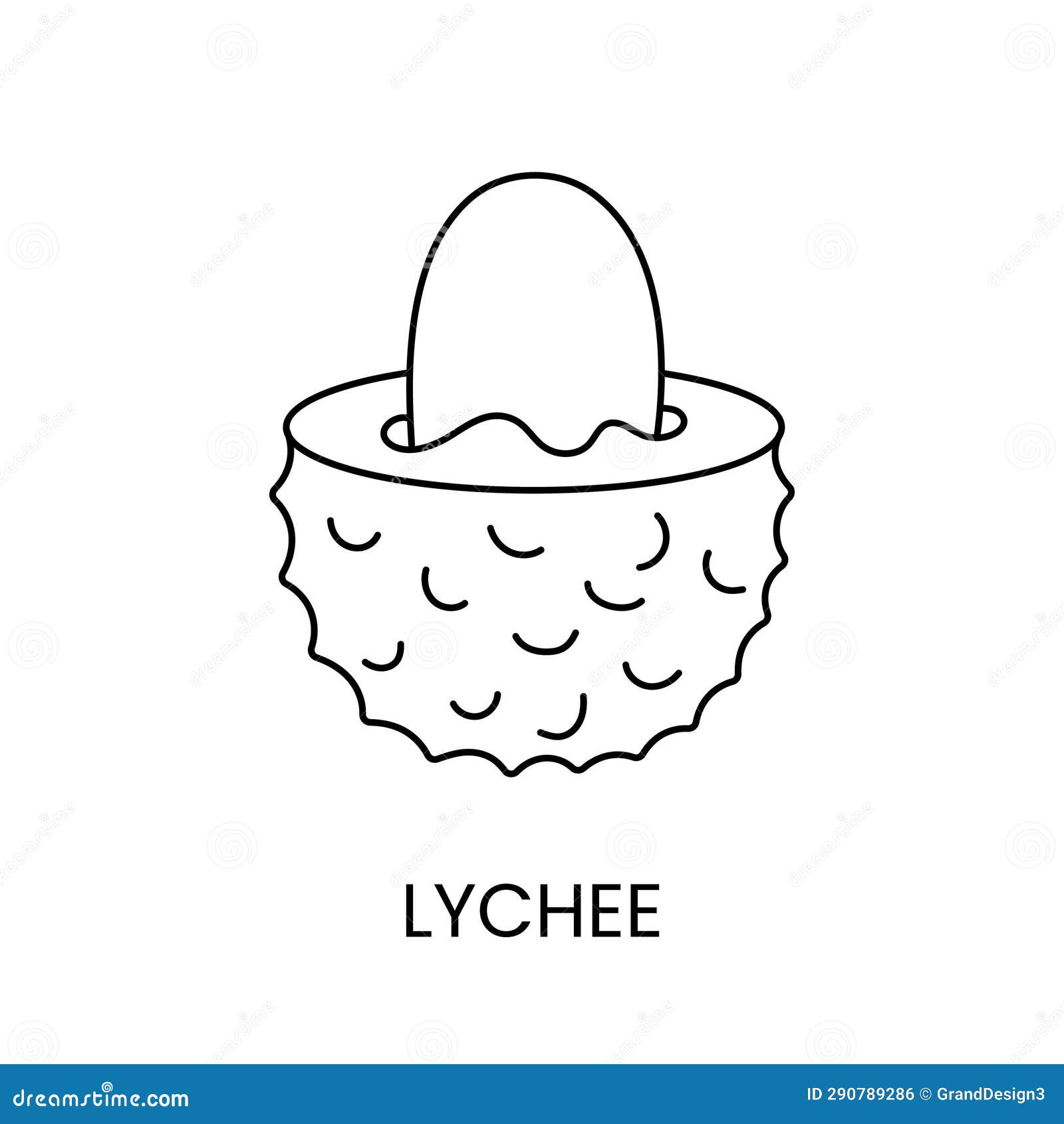 Lychee Line Icon in Vector, Fruit Illustration. Stock Illustration ...
