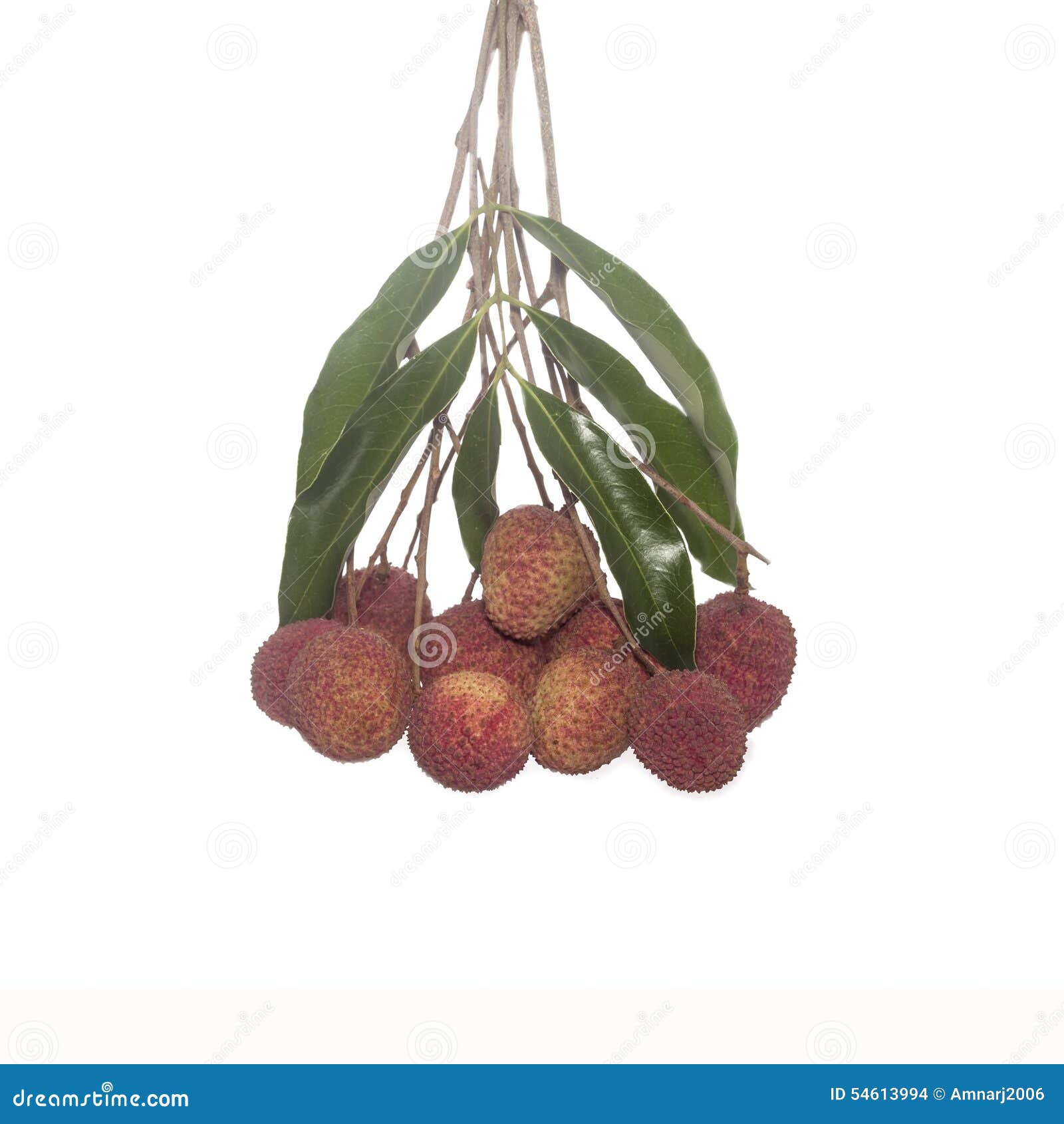 Lychee or Litchi stock photo. Image of leaf, tropical - 54613994