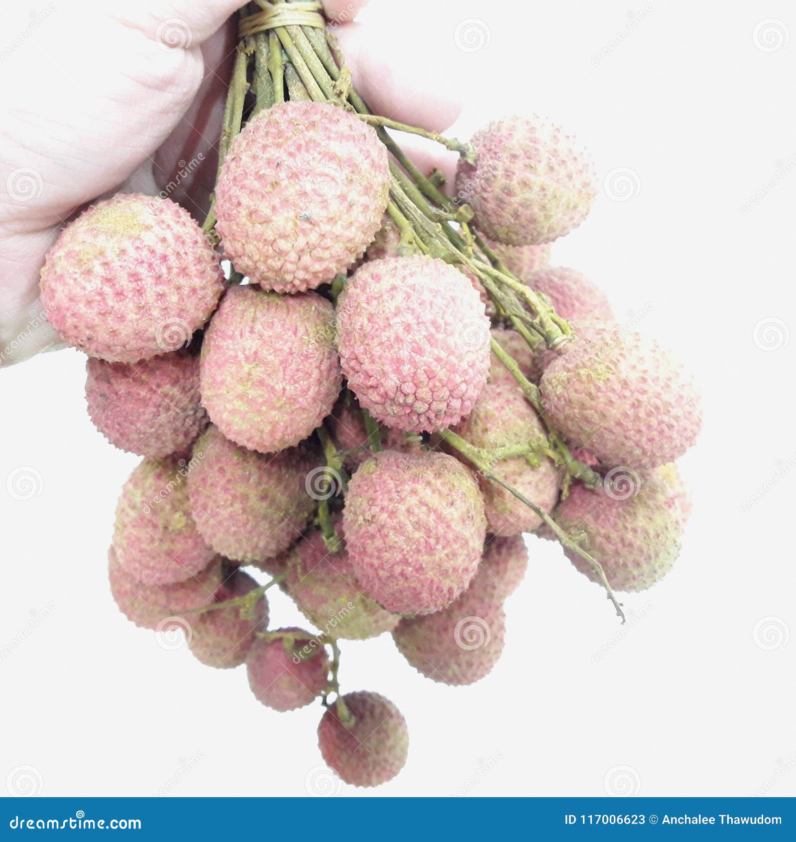 Lychee stock image. Image of sweet, lychee, oganic, health - 117006623