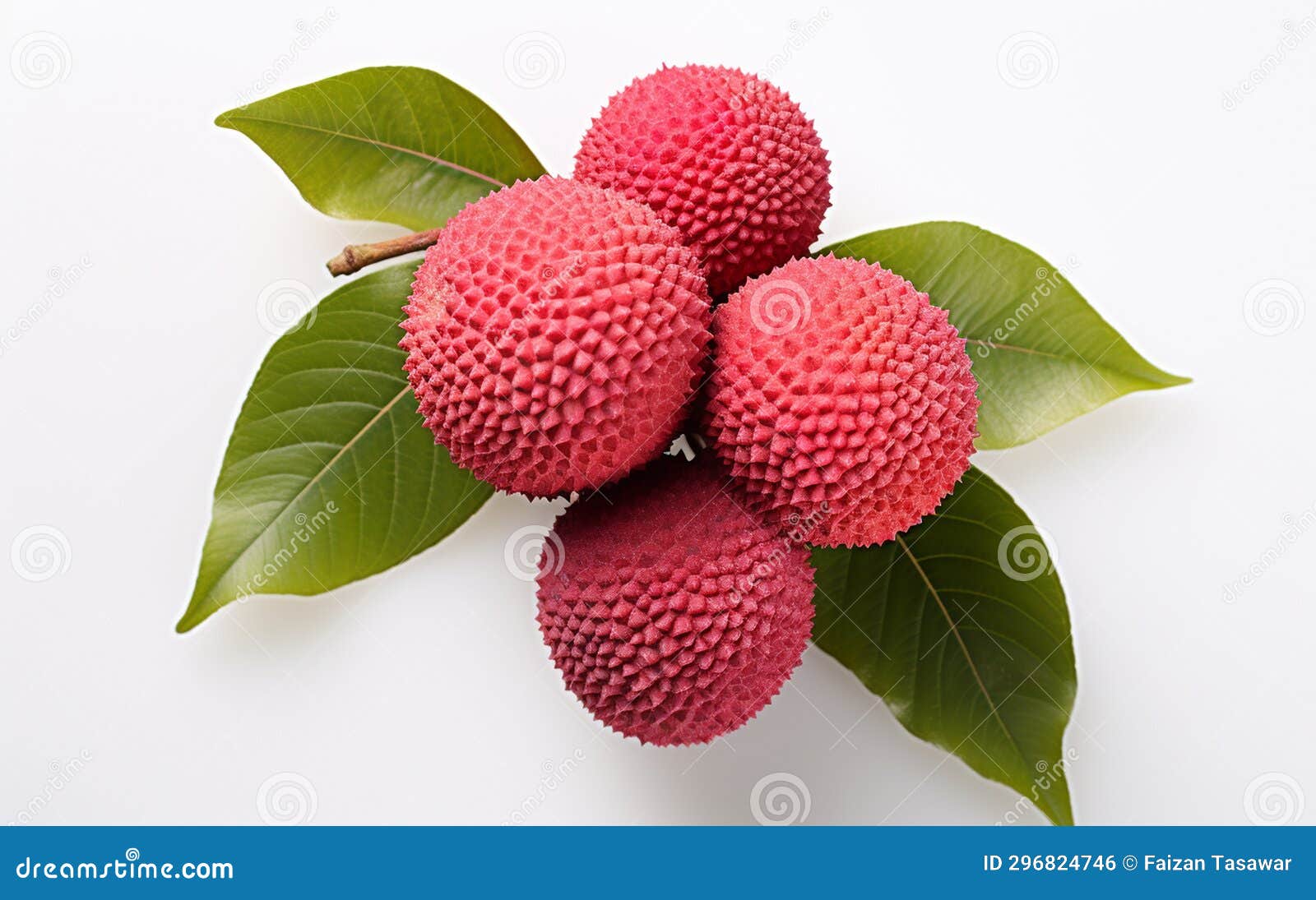 Lychee Tree With Flowers And Roots On A White Background. Cartoon ...
