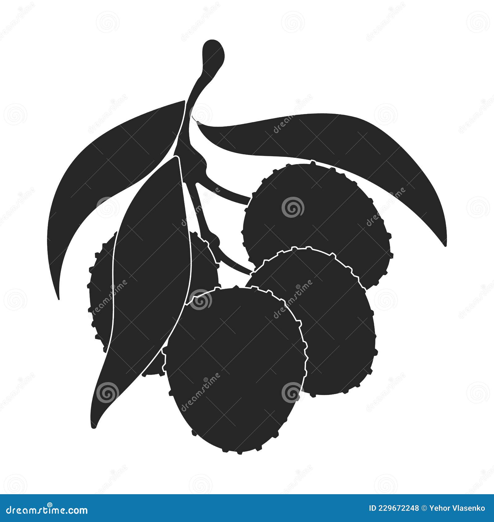 Lychee Vector Icon.Black Vector Icon Isolated on White Background ...