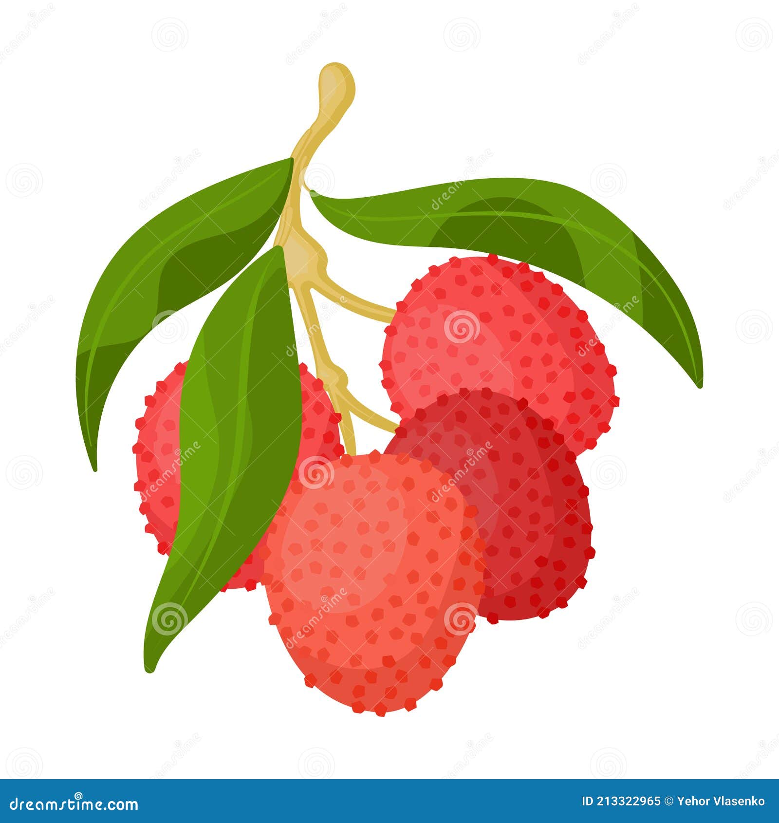 Lychee Vector Icon.Cartoon Vector Icon Isolated on White Background ...