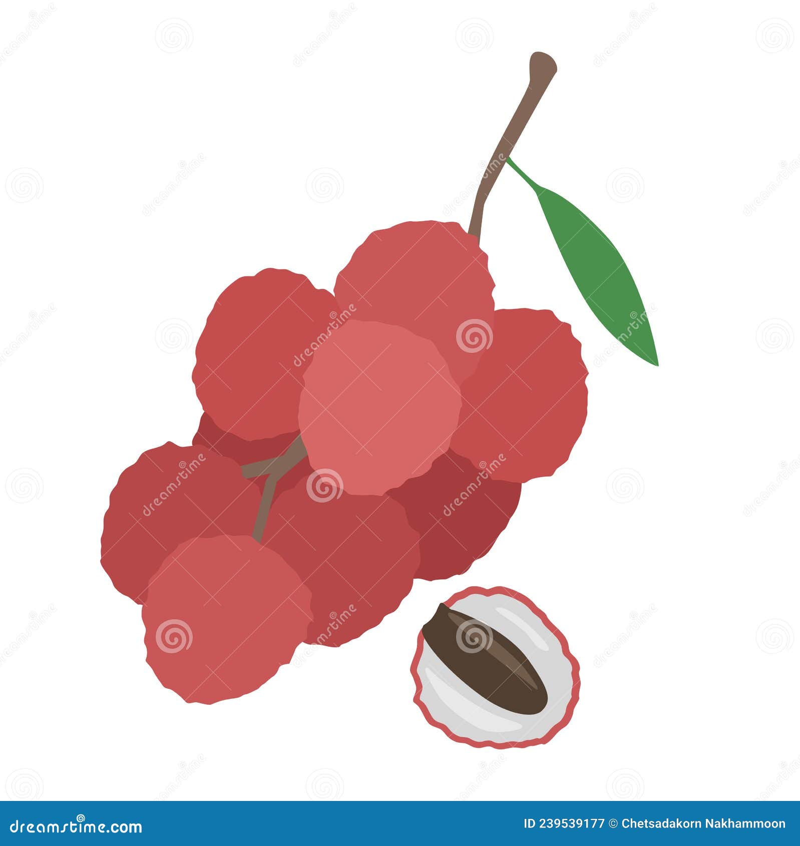 Lychee Vector Isolated on White Stock Vector - Illustration of ...
