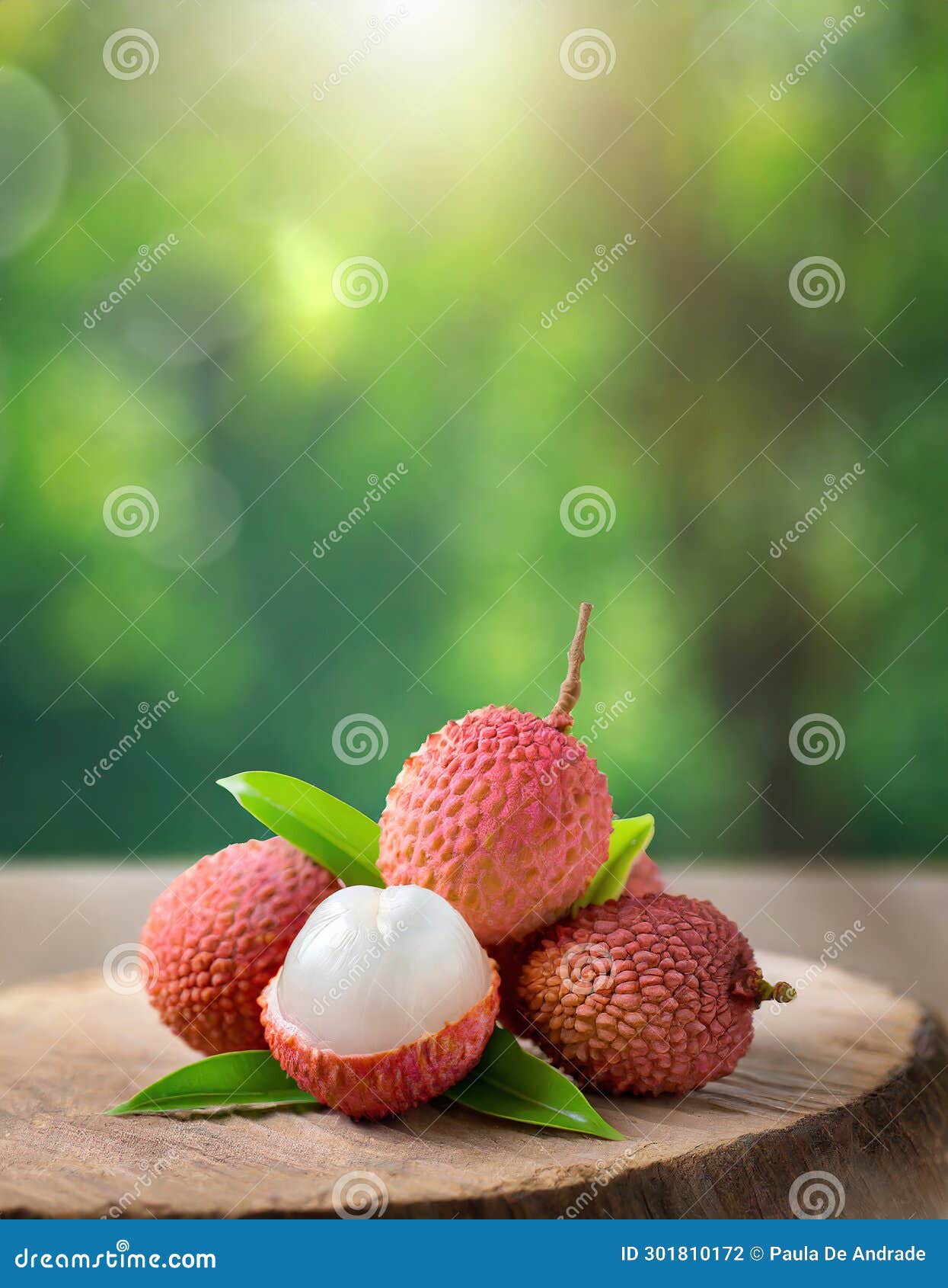 Lychee on Wood with a Blurred Green Background Stock Illustration ...