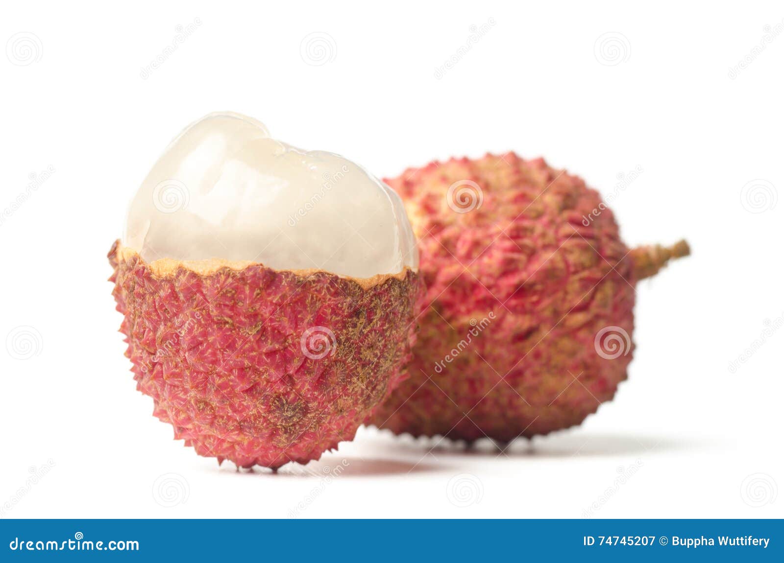 Lychees fruit stock image. Image of white, seed, tropical - 74745207