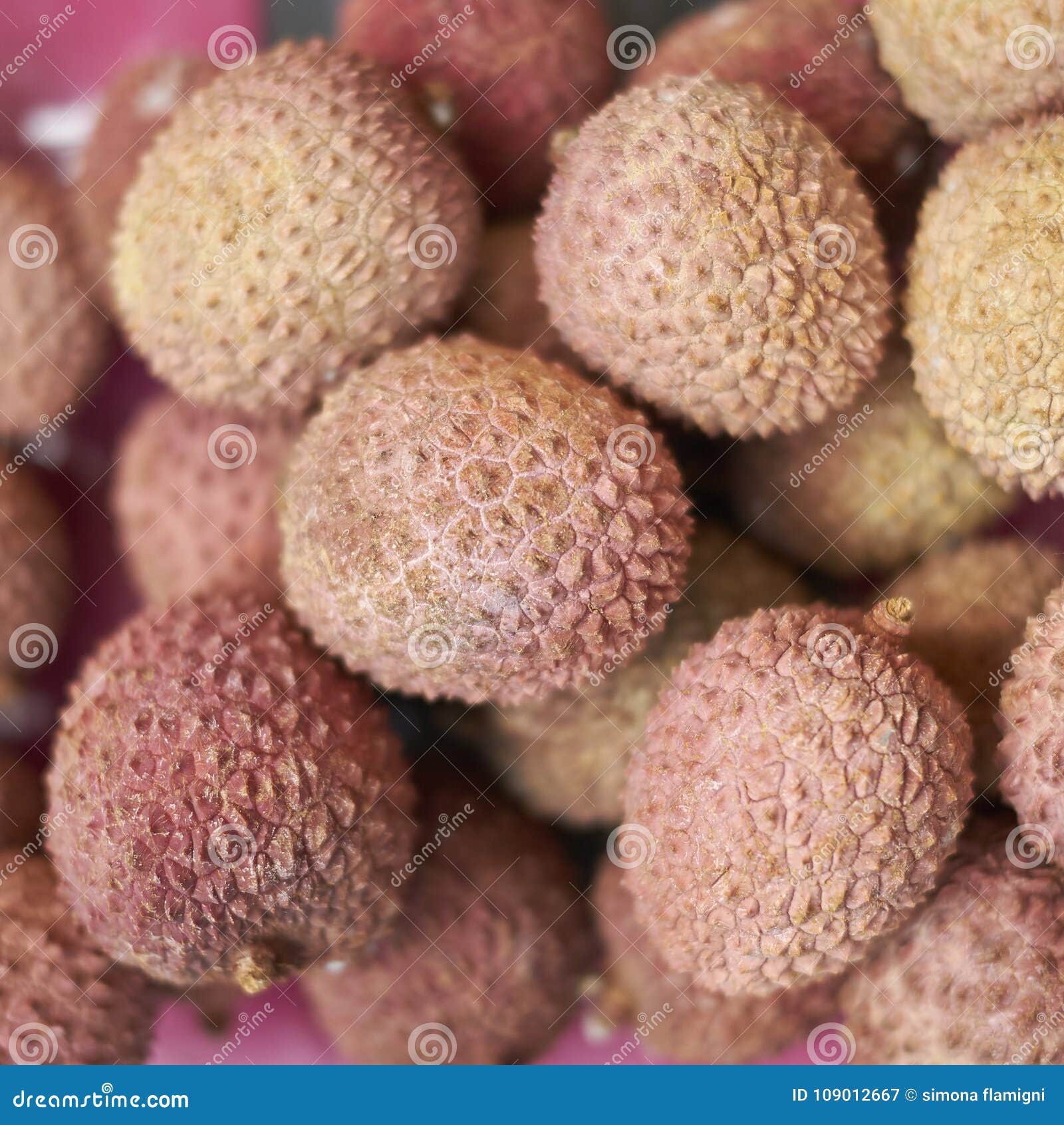 Lychees fruits stock image. Image of fresh, food, nature - 109012667