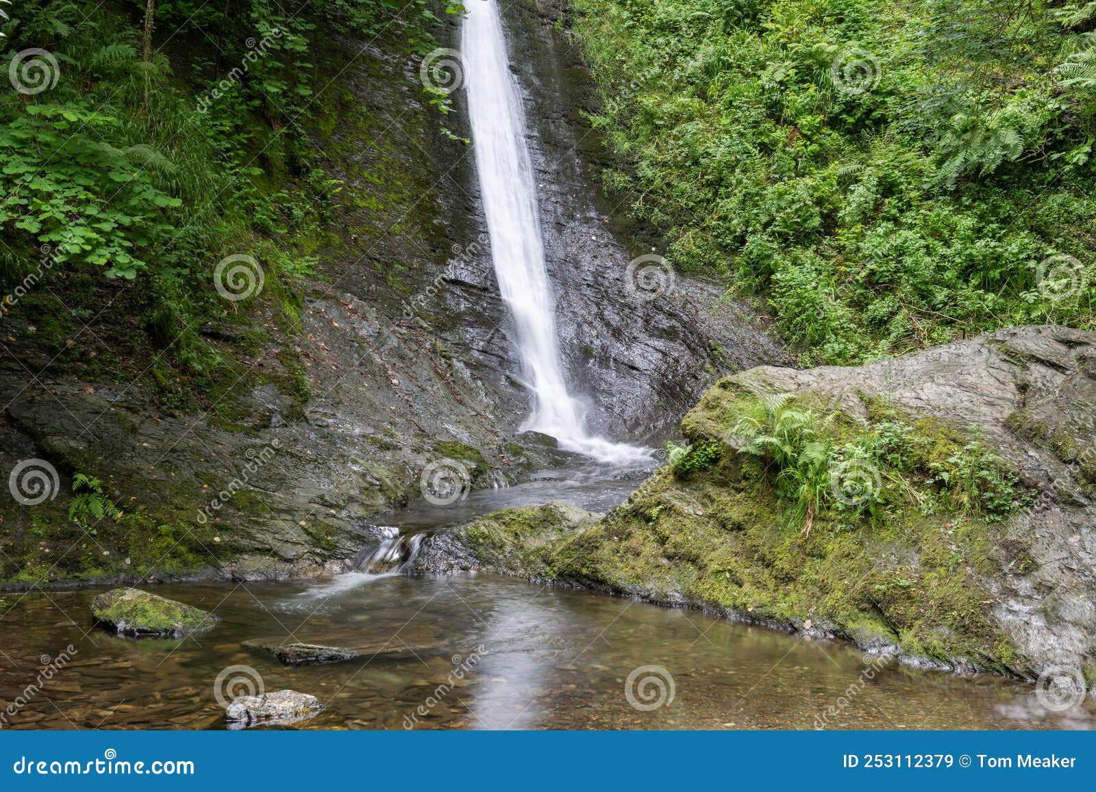 Lydford Gorge in Devon stock image. Image of long, landscape - 253112379