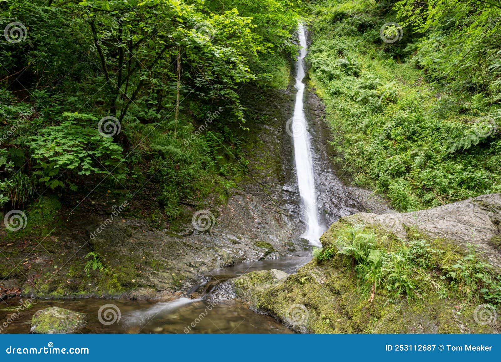 Lydford Gorge in Devon stock image. Image of environment - 253112687