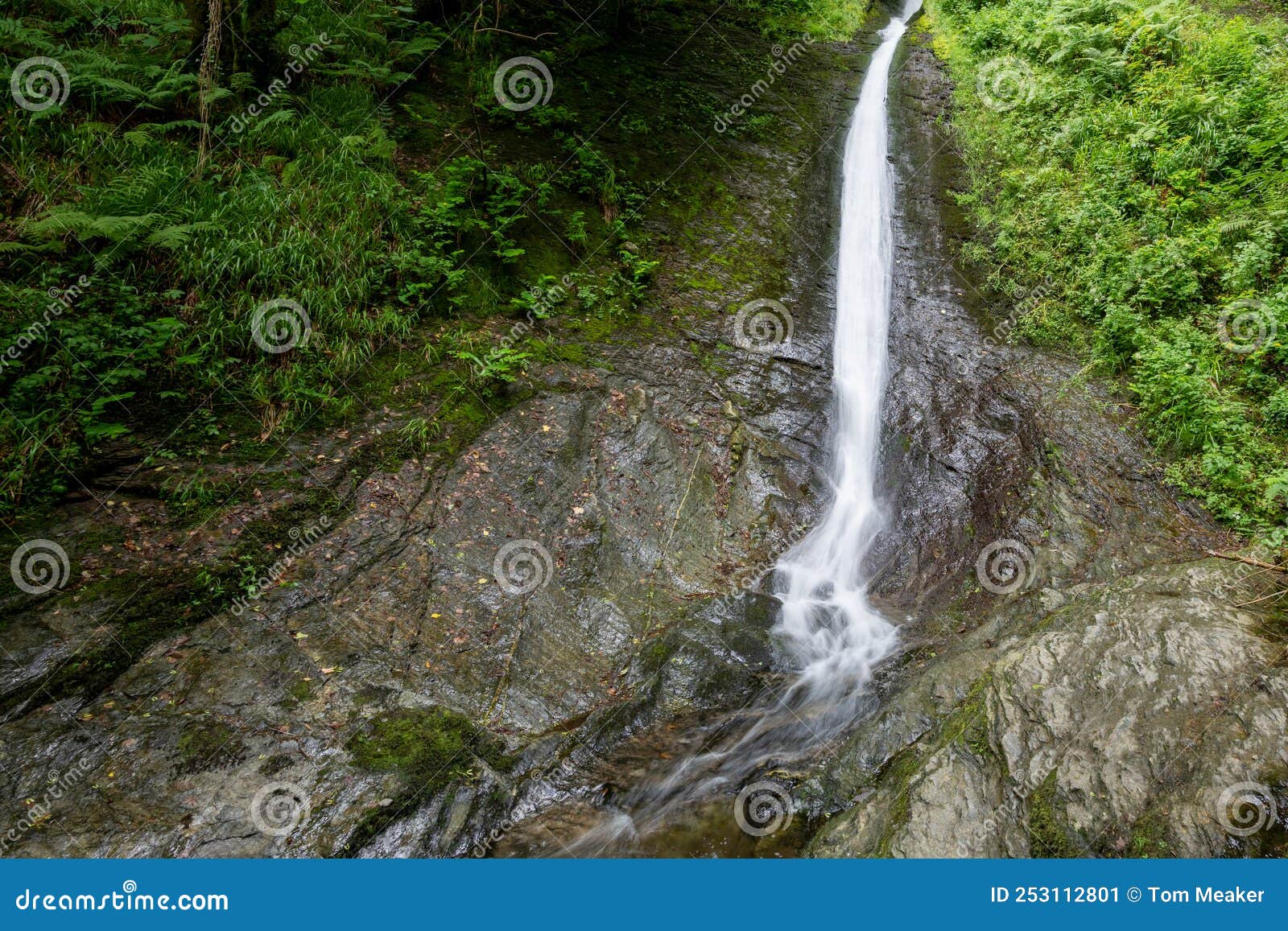 Lydford Gorge in Devon stock image. Image of footpath - 253112801