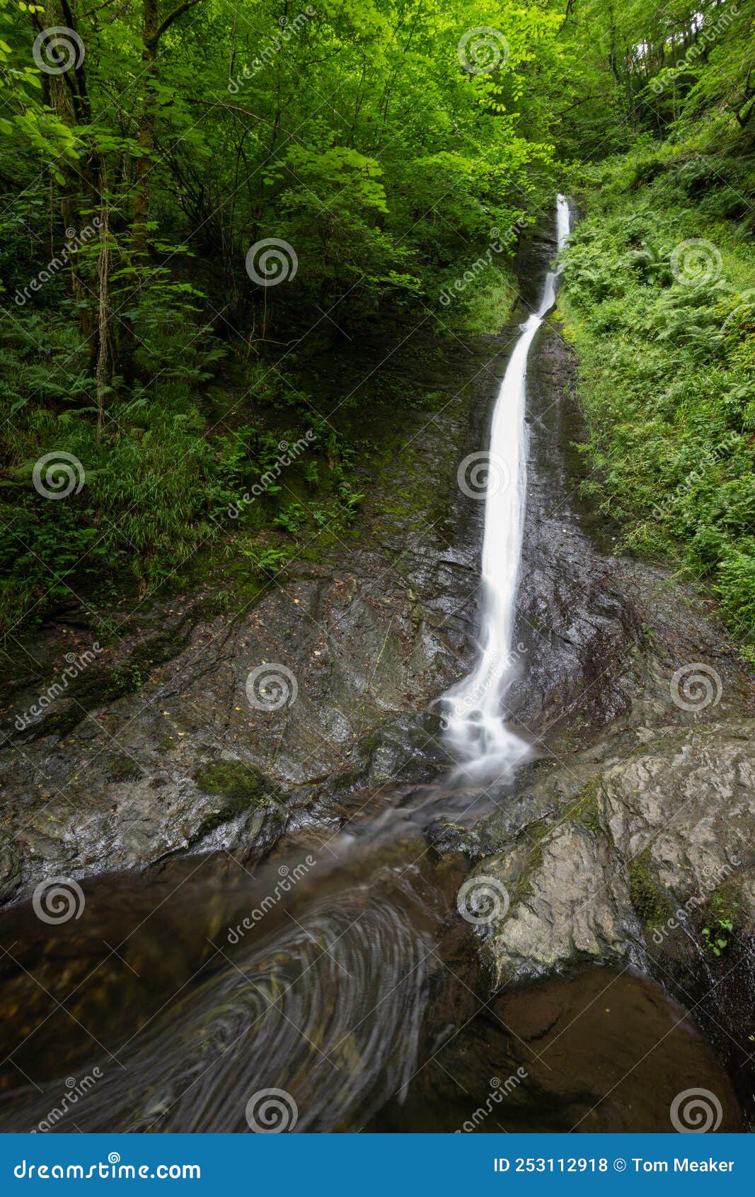 Lydford Gorge in Devon stock photo. Image of lady, footpath - 253112918