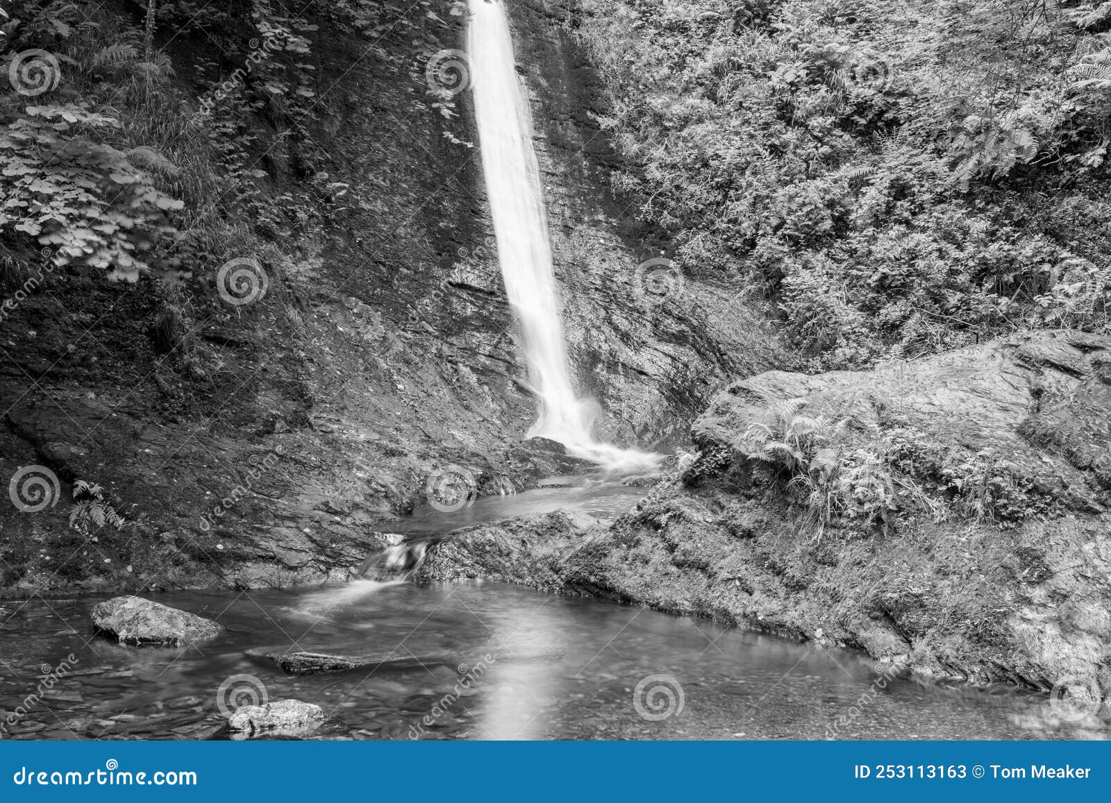 Lydford Gorge in Devon stock image. Image of geology - 253113163