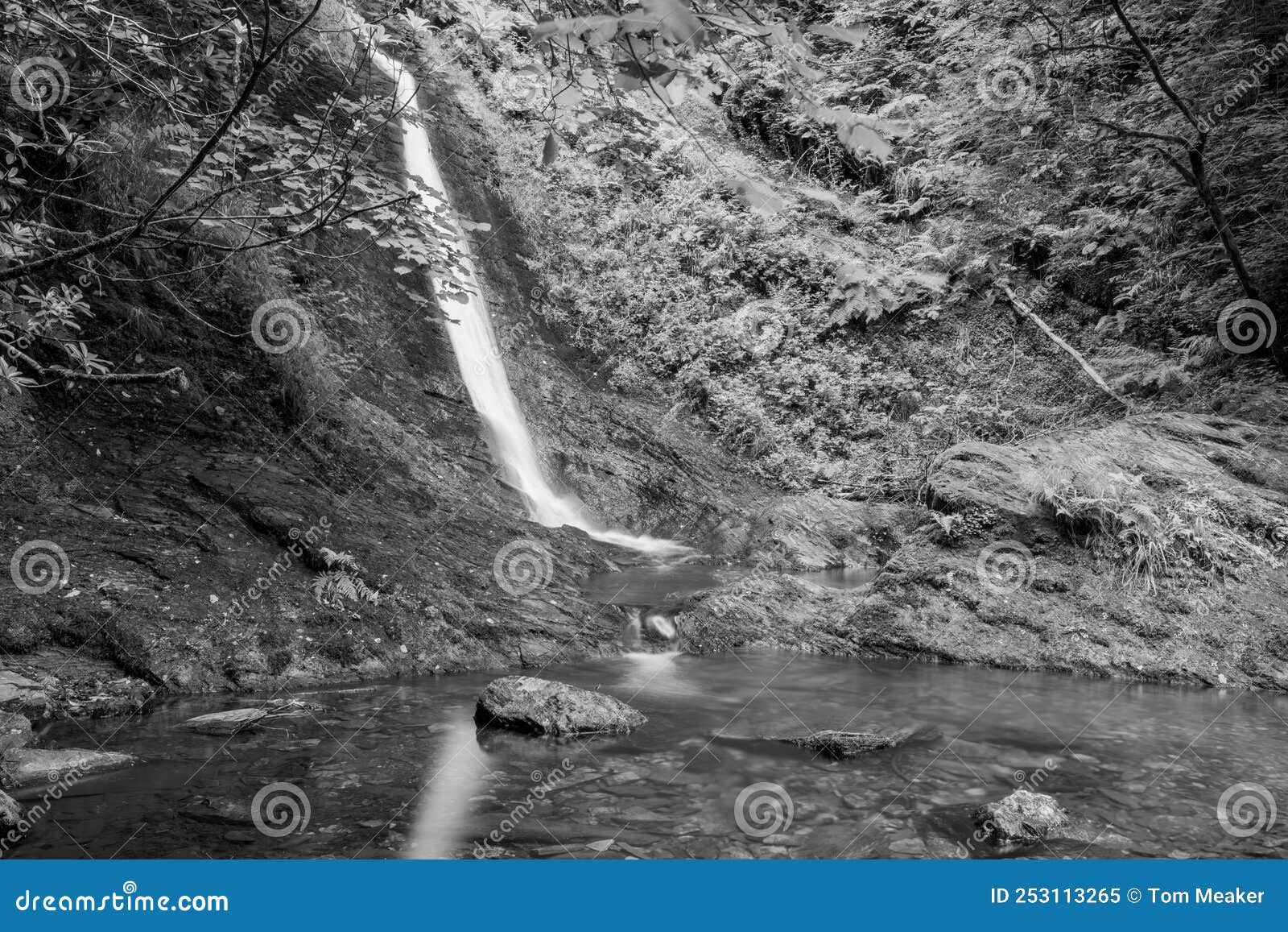 Lydford Gorge in Devon stock image. Image of gorge, lydford - 253113265