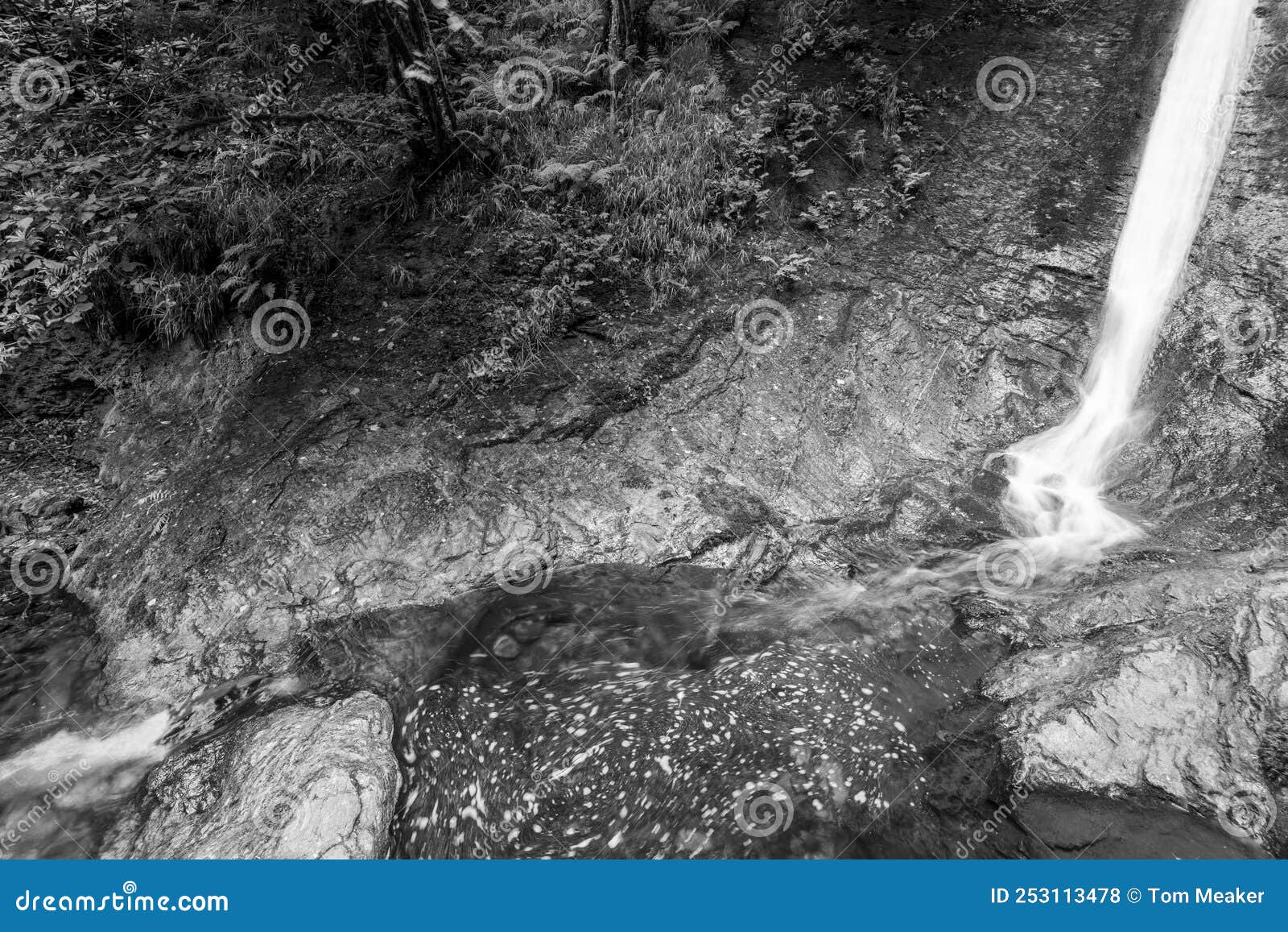 Lydford Gorge in Devon stock photo. Image of outdoor - 253113478