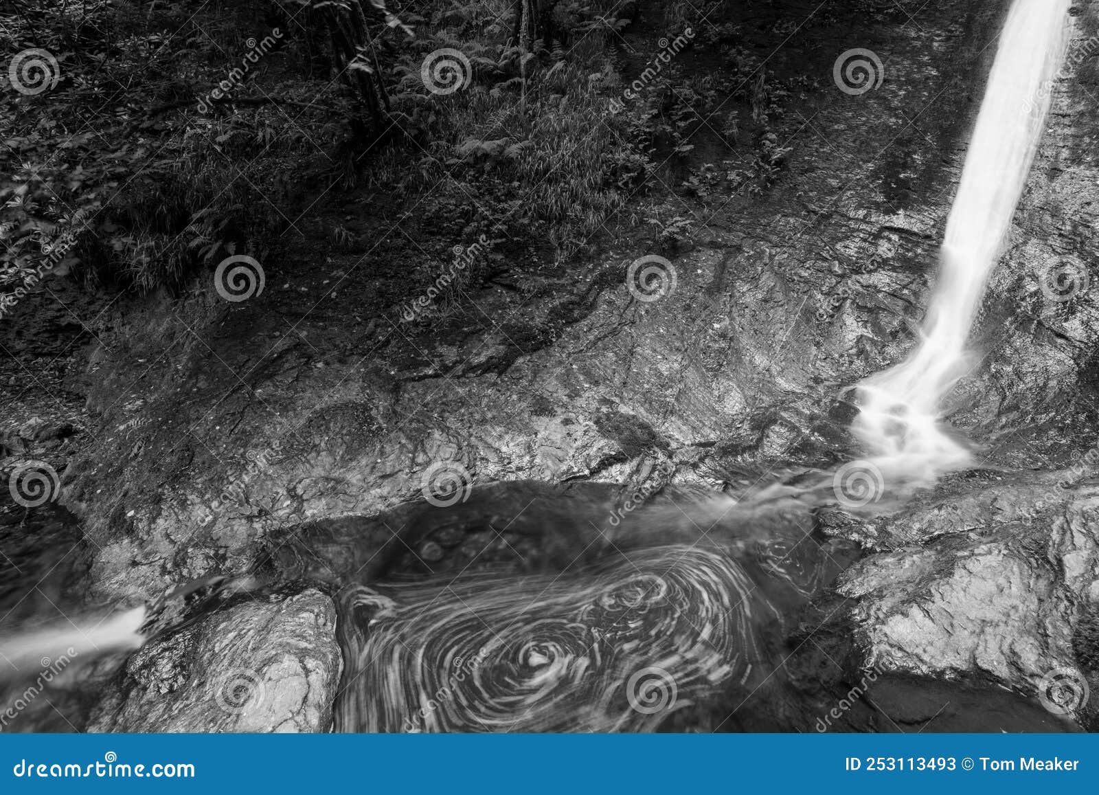 Lydford Gorge in Devon stock image. Image of nature - 253113493