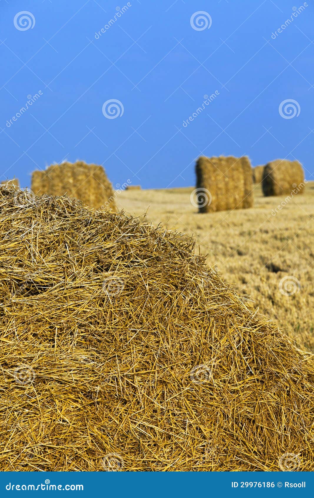 Straw stack stock photo. Image of bale, clear, gold, bales - 29976186