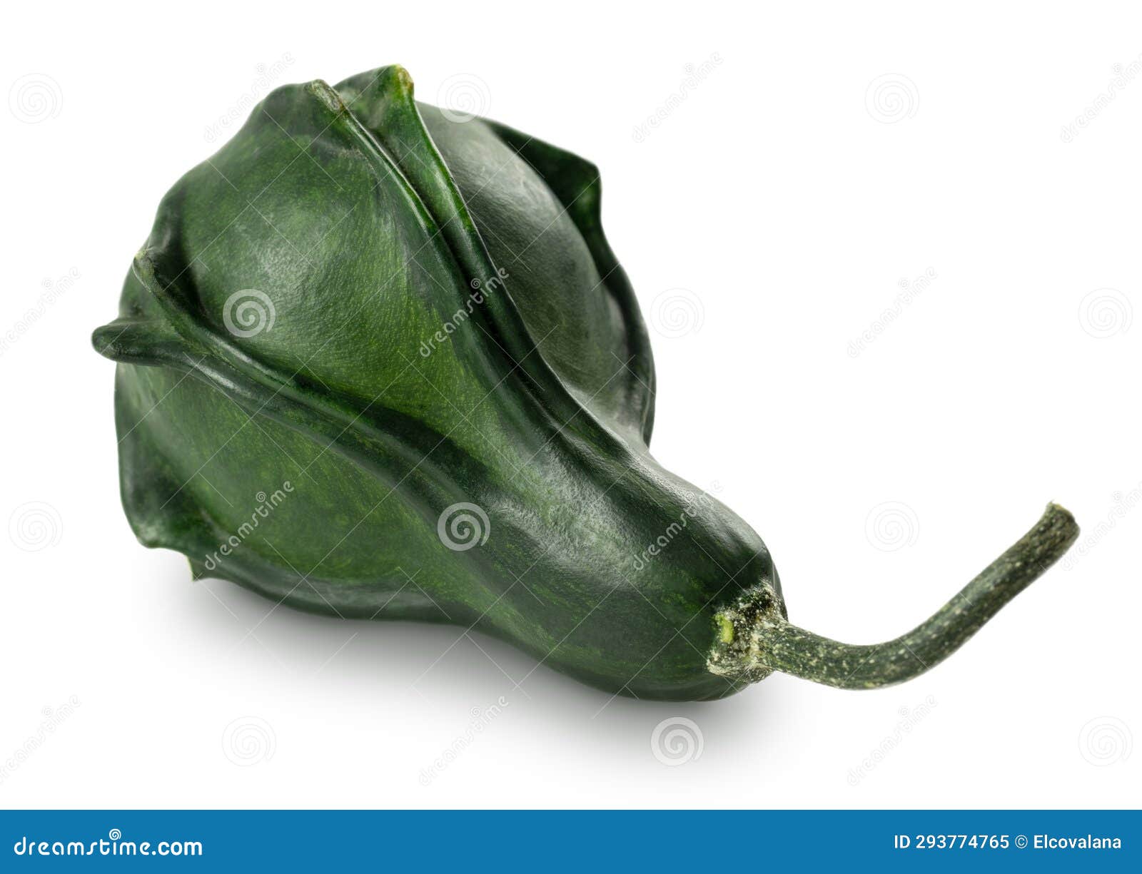 Lying on Its Side Green Ridge Decorative Gourd. Isolated on White ...