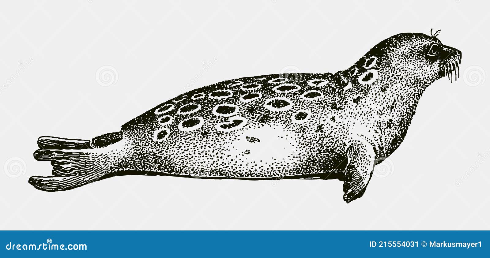 Pusa Cartoons, Illustrations & Vector Stock Images - 51 Pictures to ...