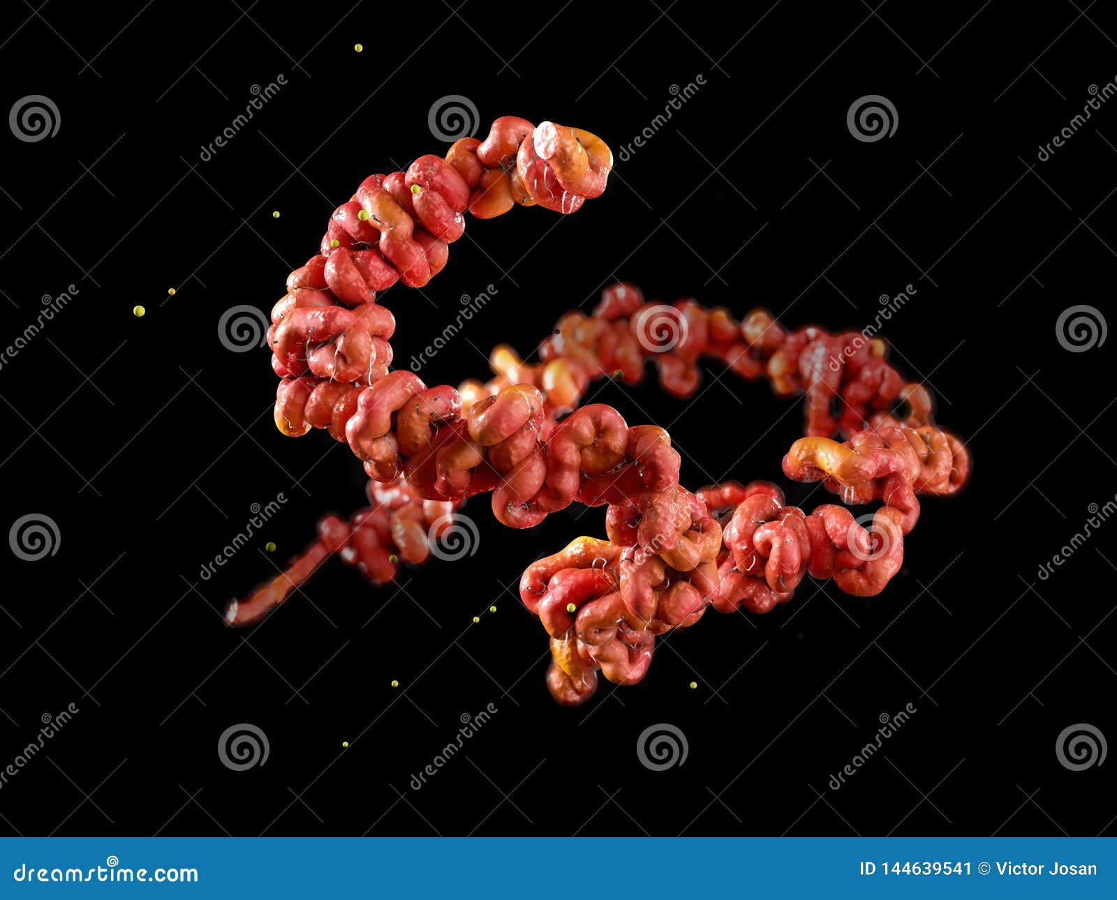 Lyme Disease Bacteria Isolated Black 3D Illustration Stock Image ...