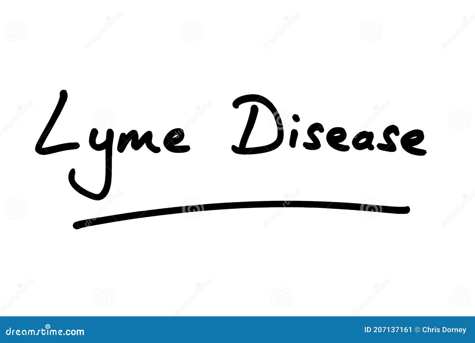 A Man With Erythema Migrans, A Characteristic Rash Of Lyme Disease ...