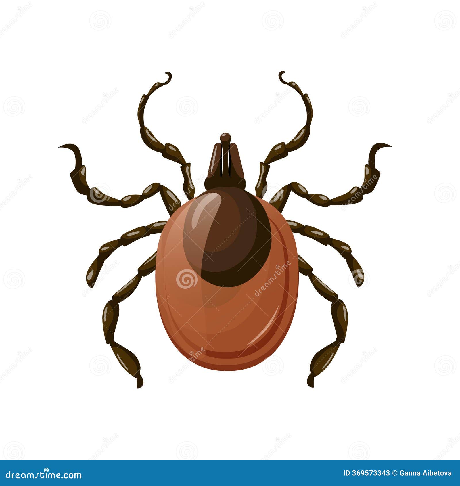 Lyme Tick Suck The Blood Vector Illustration Against A White Background ...