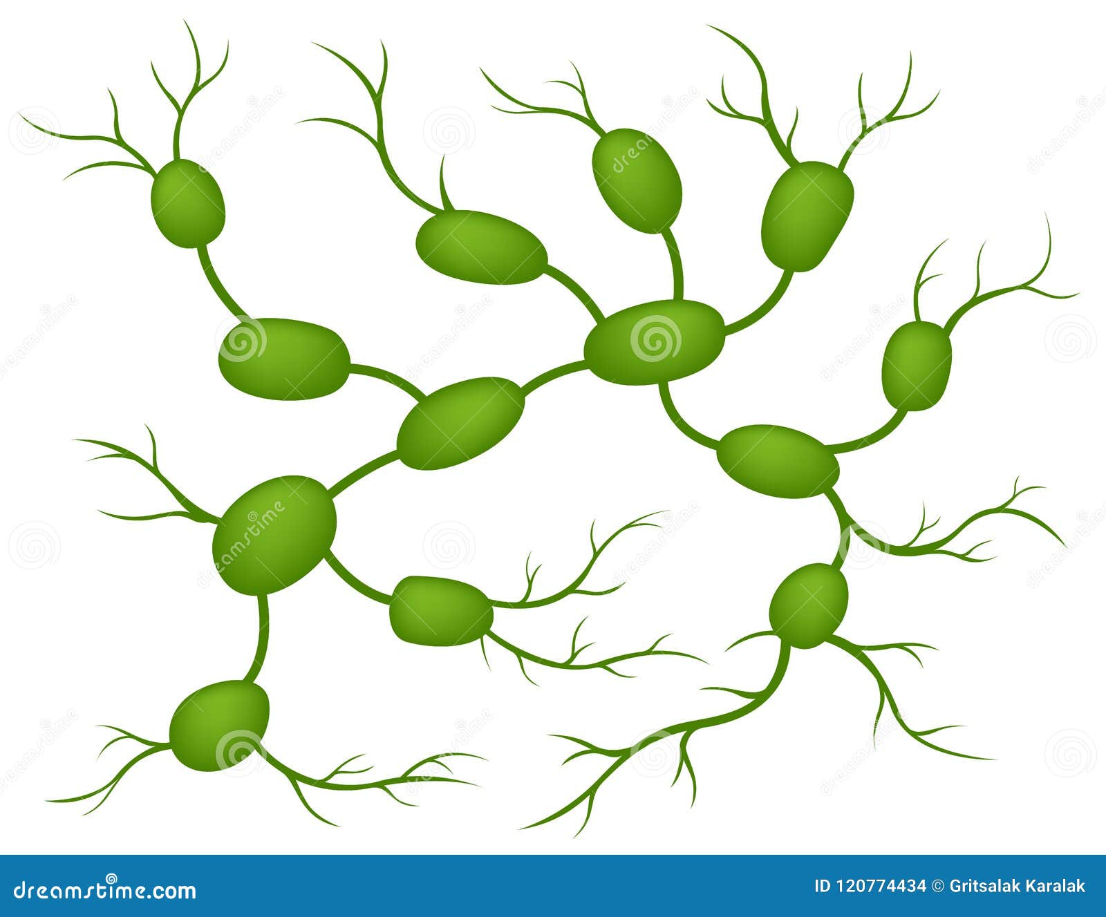 Lymph Nodes Of The Chest And Axilla Vector Illustration | CartoonDealer ...