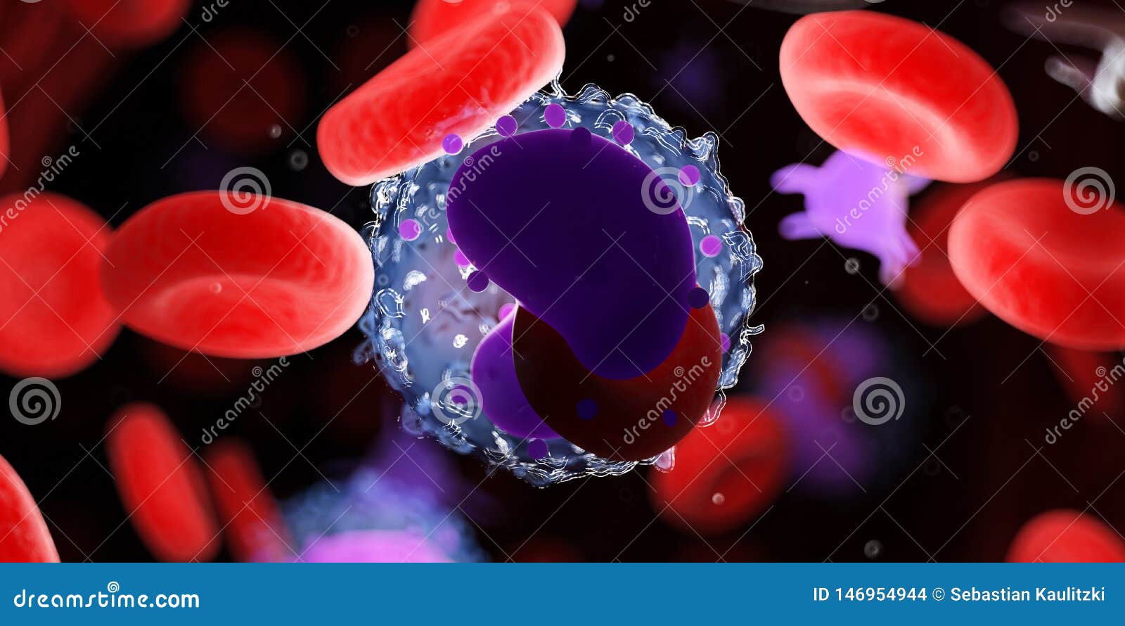 A lymphocyte stock illustration. Illustration of human - 146954944