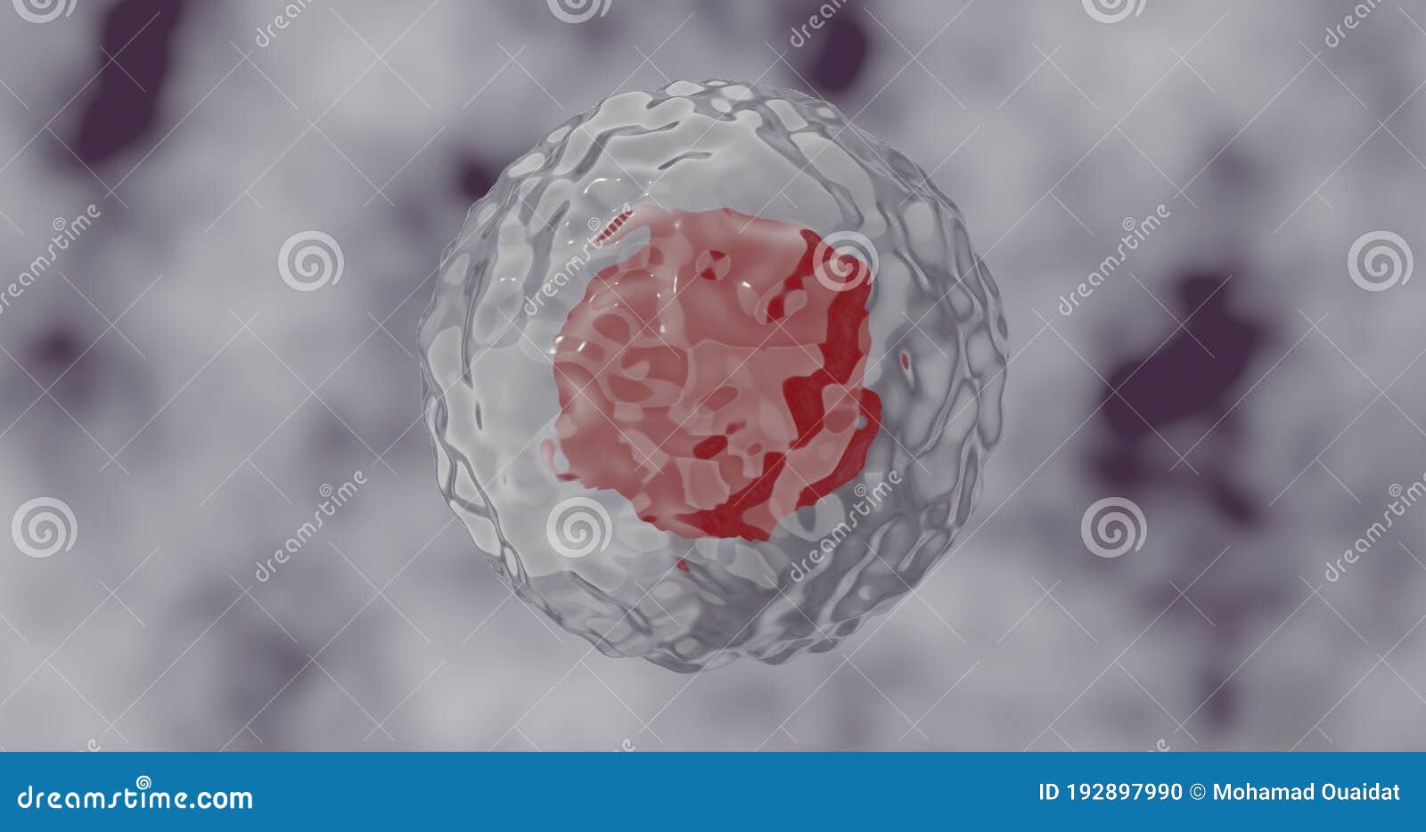 3d Illustration Of Lymphocyte Type Leukocyte Cell, White Blood Cells ...