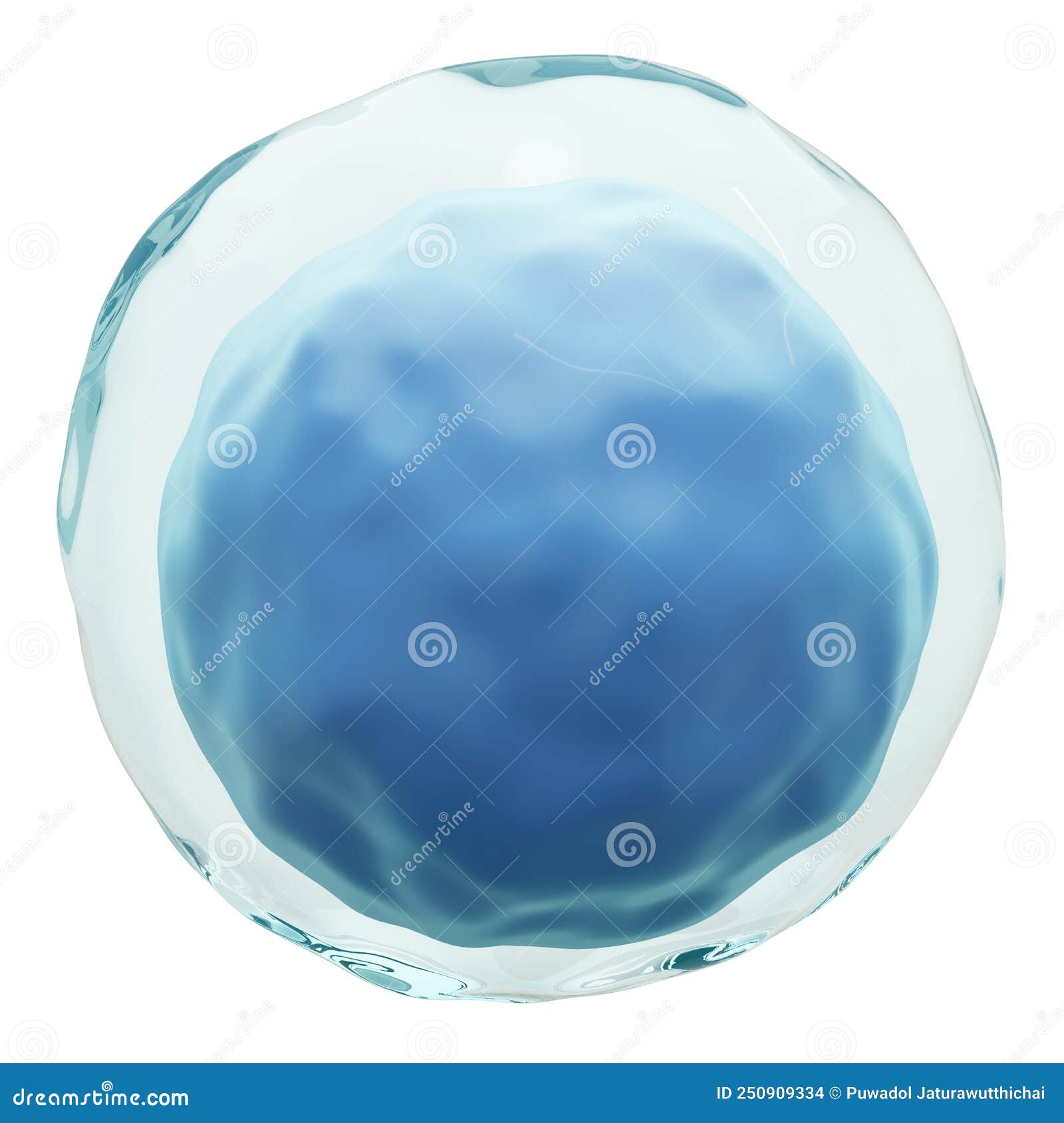 Cells With Nucleus On Scientific Background Stock Illustration ...