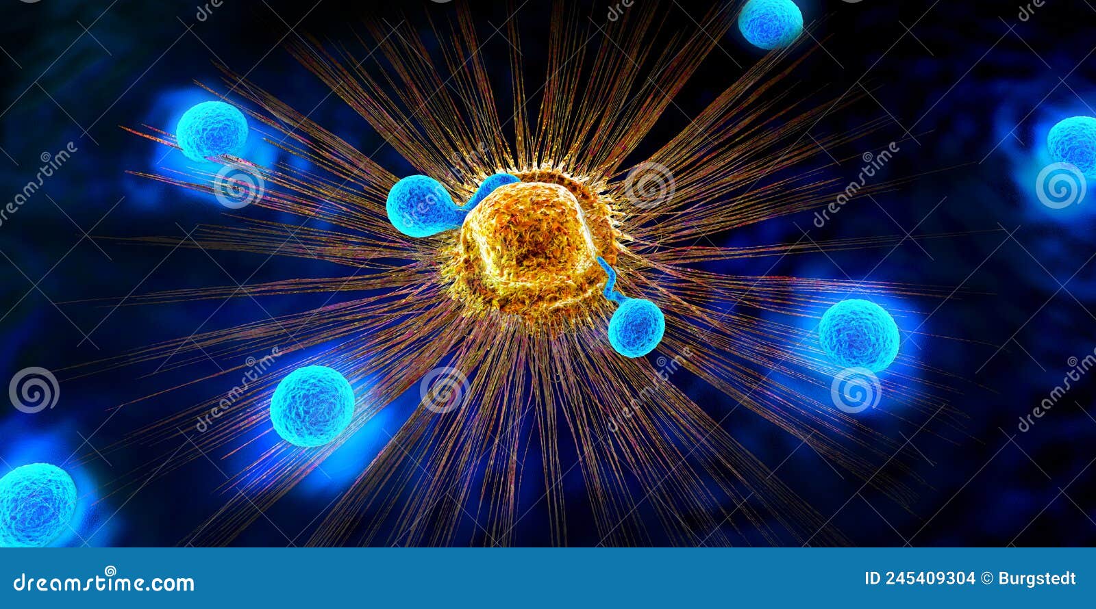 Spreading Of Cancer Cell In Human Skin Layer. Cartoon Vector ...