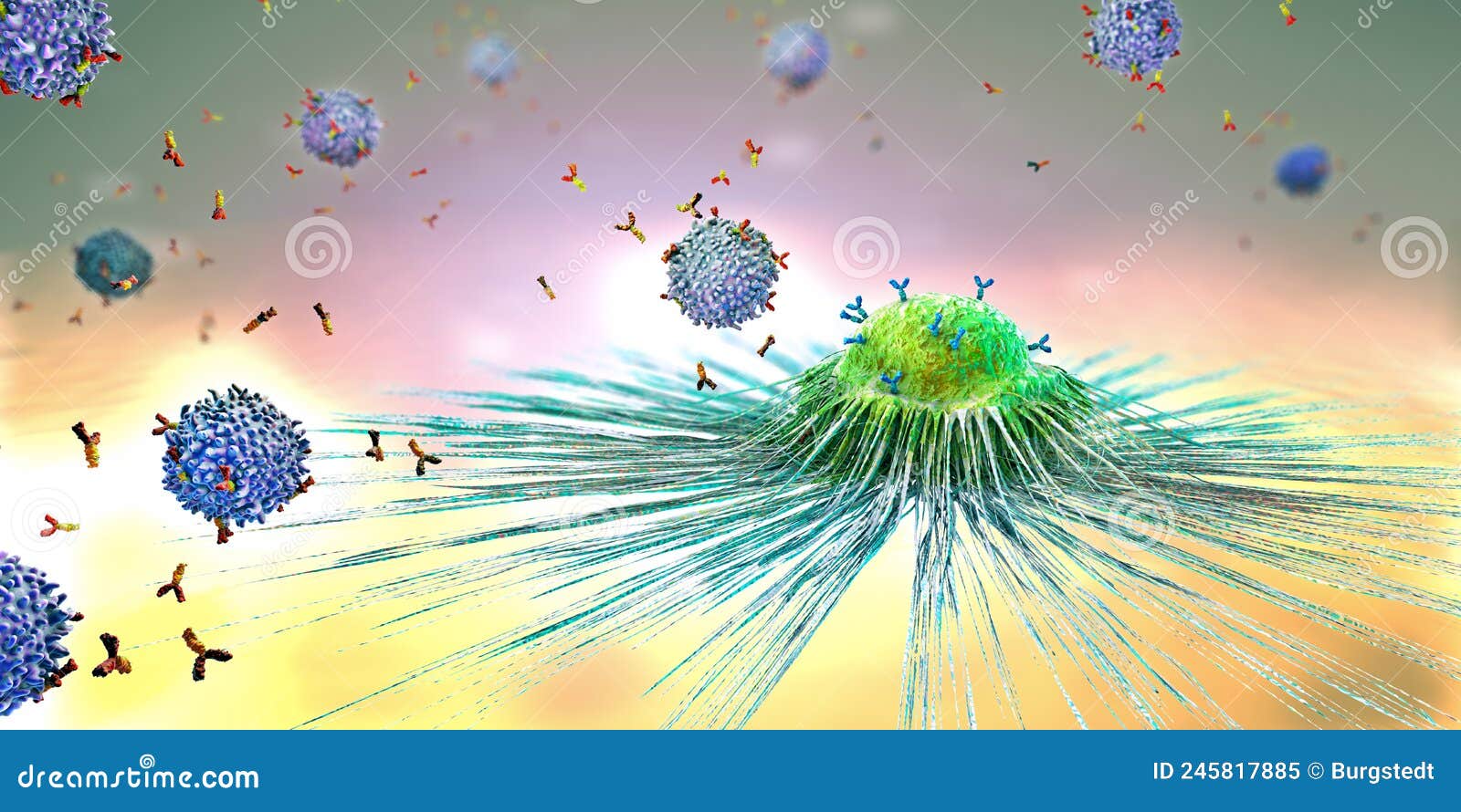 Lymphocytes Cell in the Immune System Reacting and Attacking a ...
