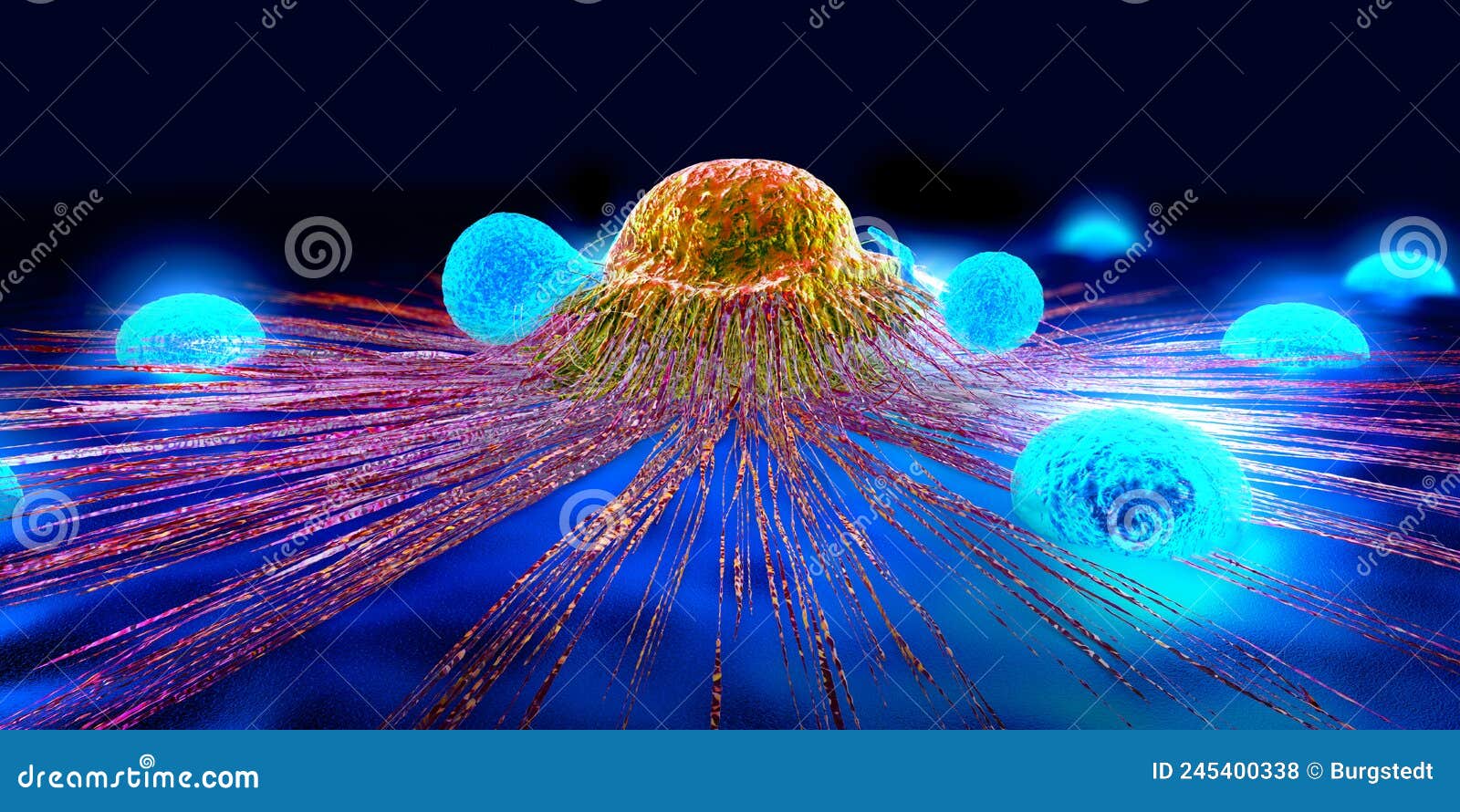 Lymphocytes Cell in the Immune System Reacting and Attacking a ...