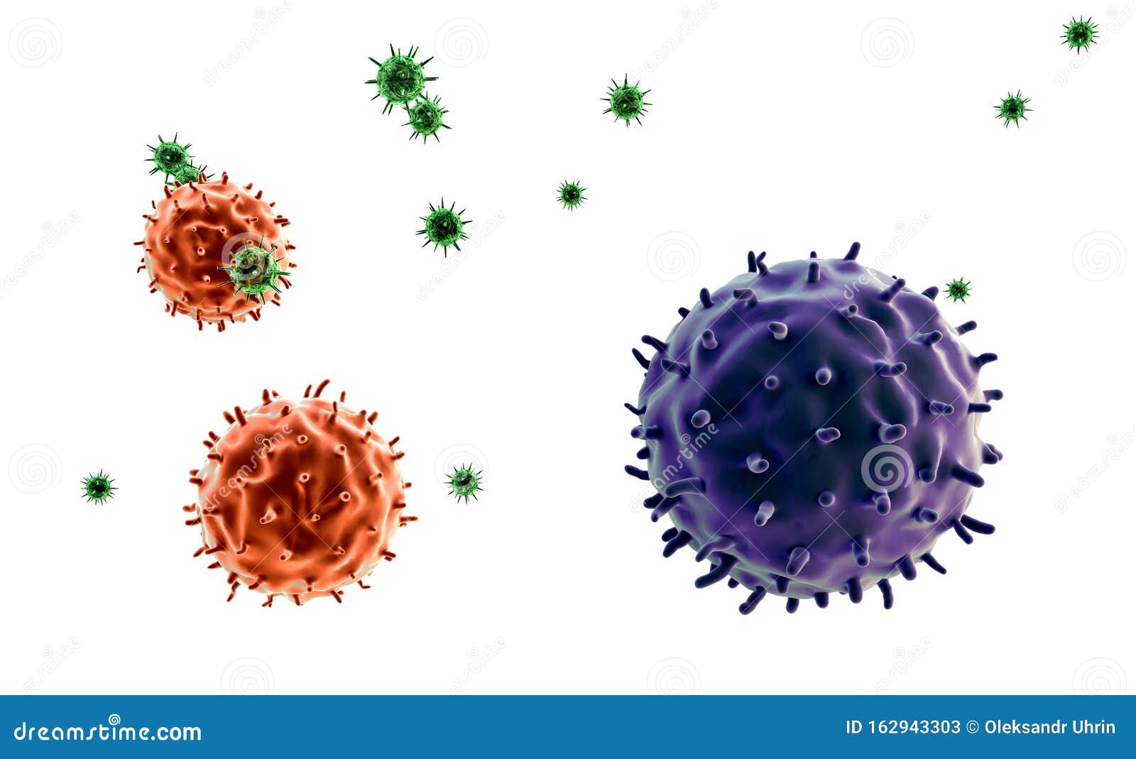 Lymphocytes and Viruses on the White Background Stock Illustration ...