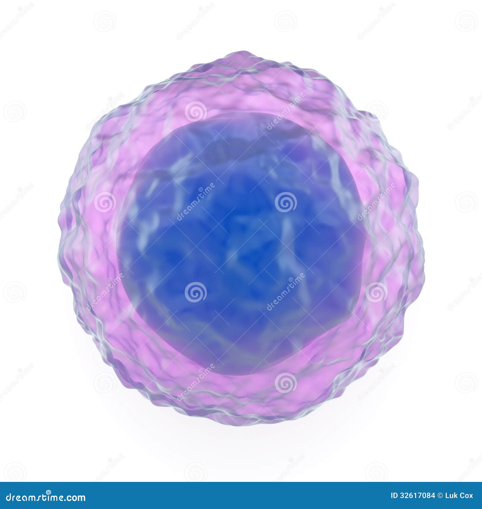 Lymphozyte stock abbildung. Illustration von lymphe, empfänger - 32617084
